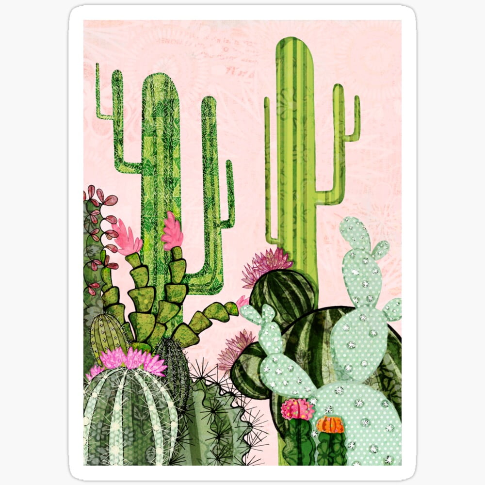 Cacti Collage Sticker Phone Decal Water Bottle Stickers Car Decals ...