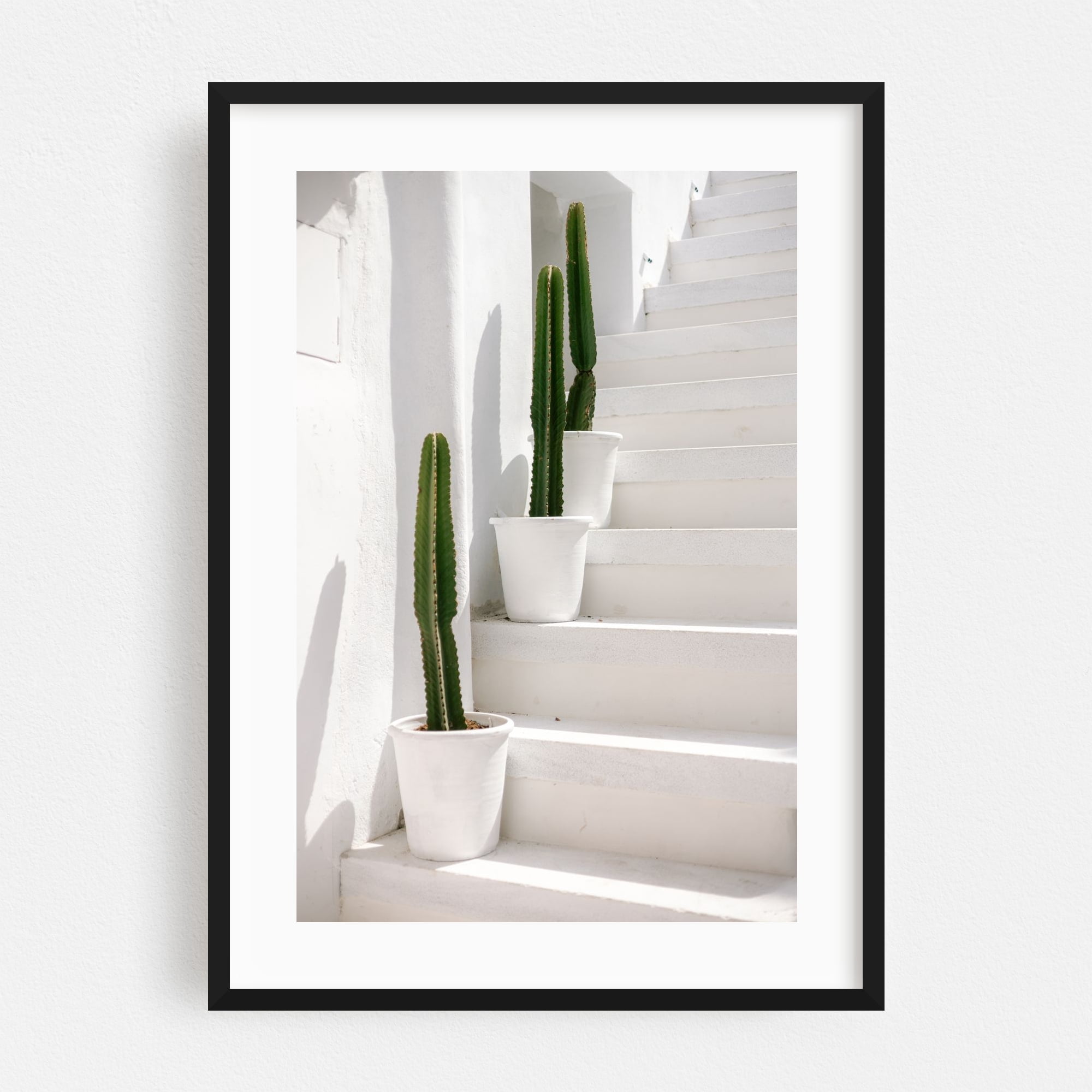 Cacti Oasis Greece - Greece Photography Cactus Minimalist Mediterranean ...
