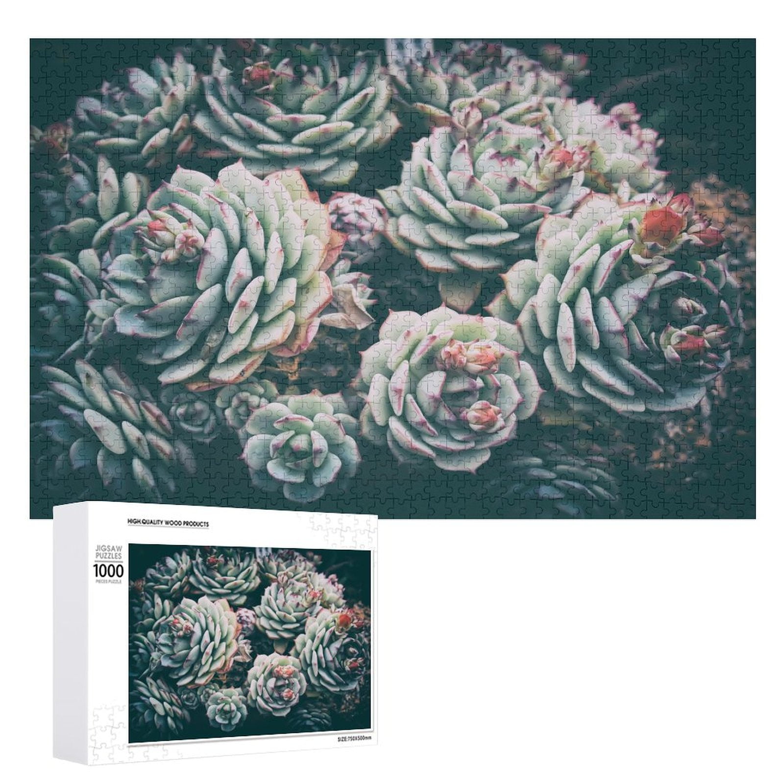 Cacti Puzzle 1000 Piece For Adults, Family Games For Kids And Adults ...