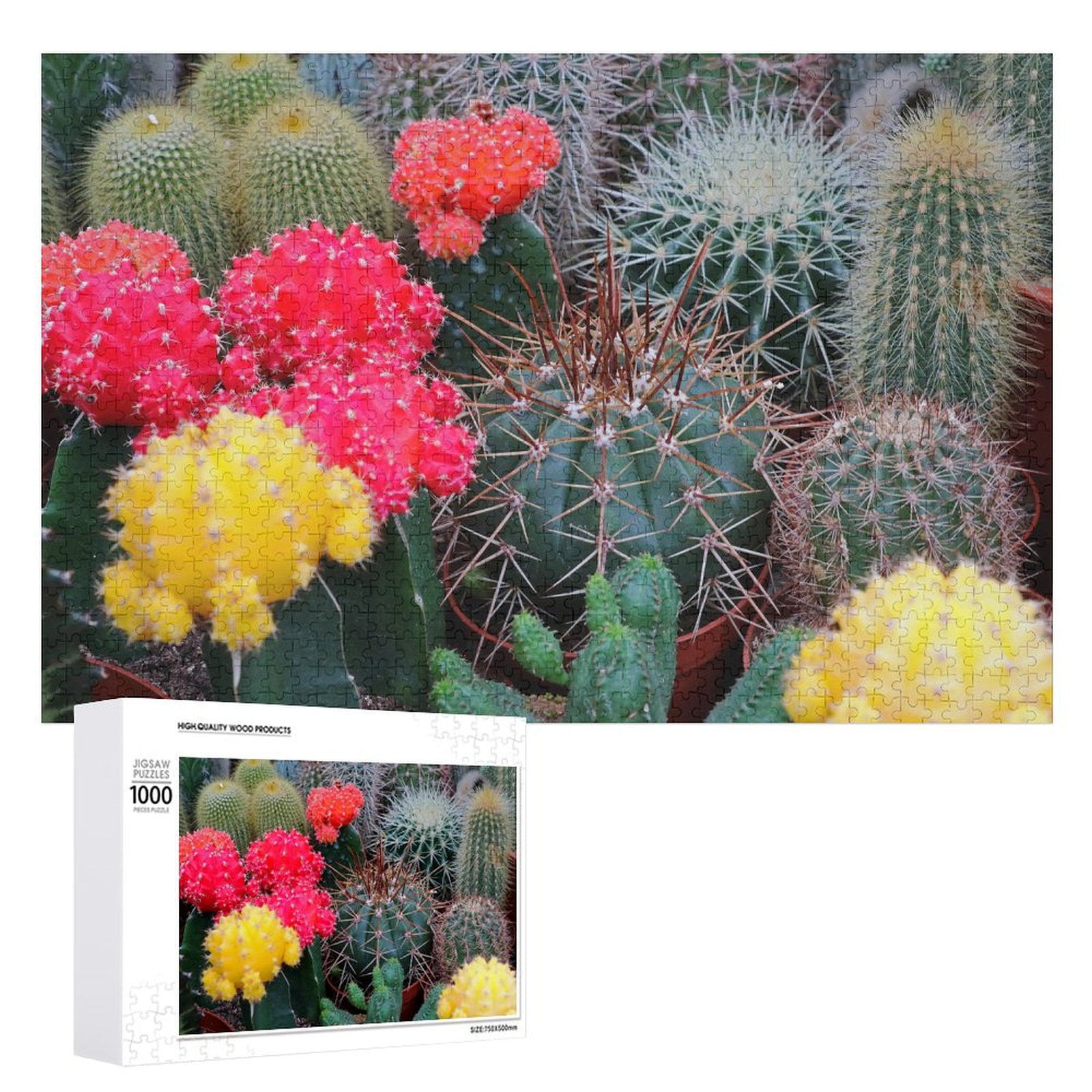 Cacti Puzzles For Adults 1000 Pieces And Up, Jigsaw Puzzles 1000 Pieces ...