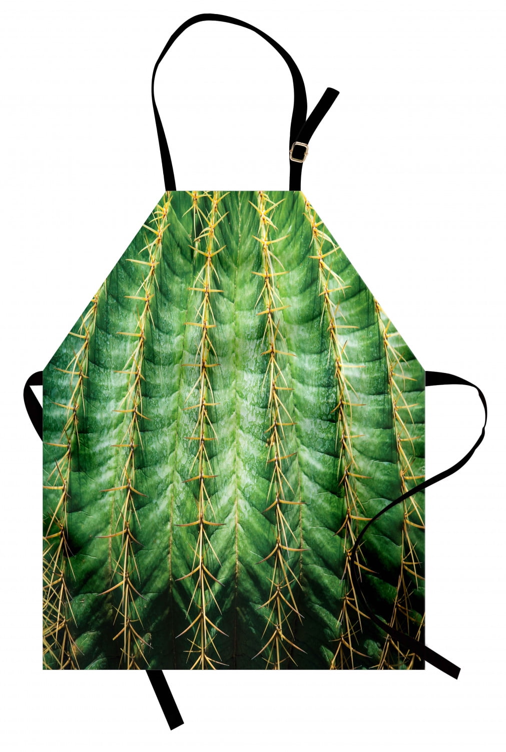 Cactus Apron Photo of Cactus with Spikes Plant Flower Fruit from Close ...