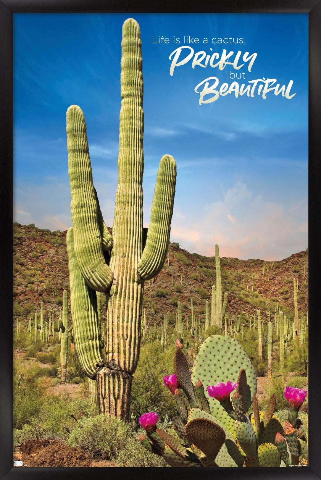 Cactus - Beautiful Wall Poster, 14.725" x 22.375", Framed - Walmart.com