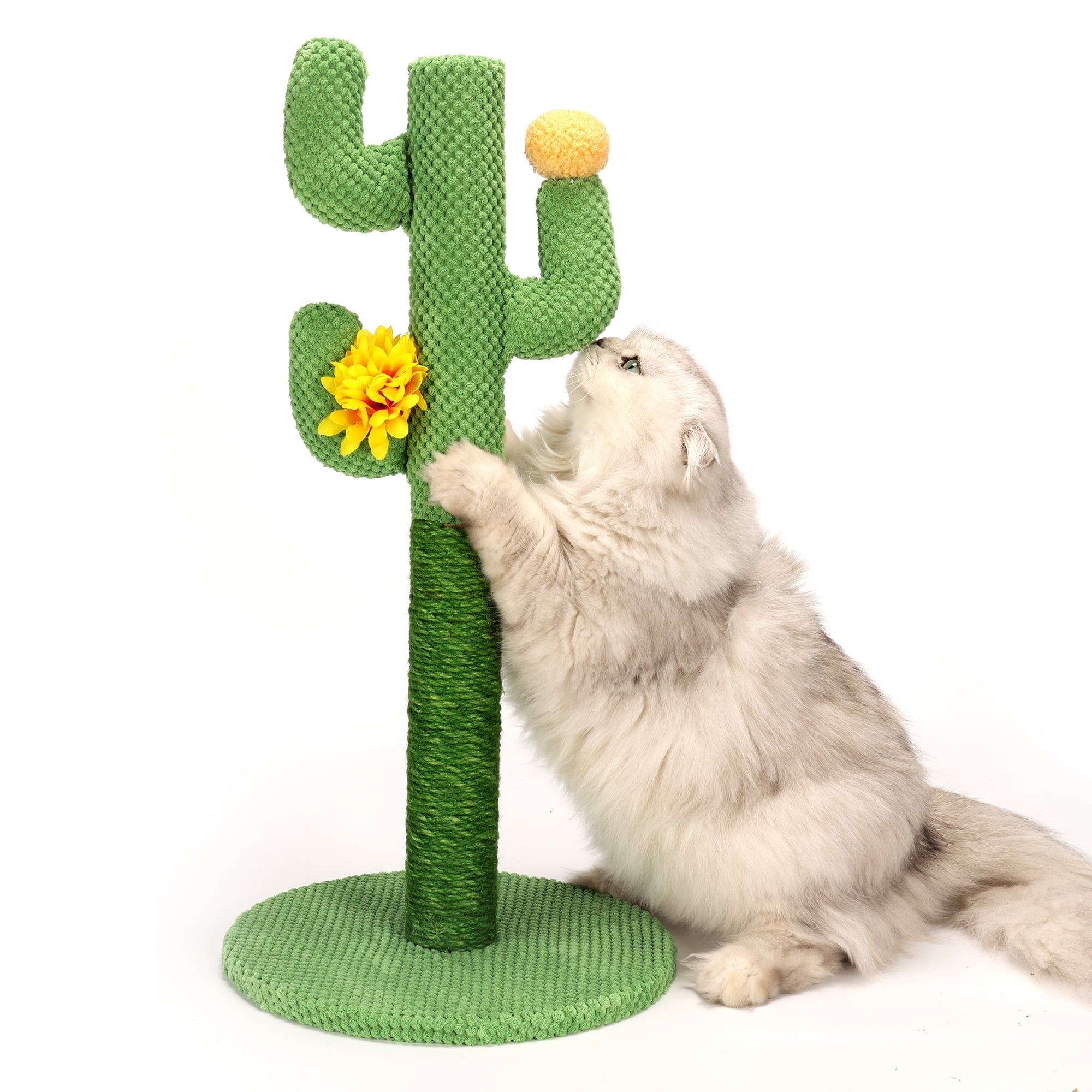 TIJITY Cat Scratching Post, Cactus Cat Scratcher Kitten Scratch Post ...