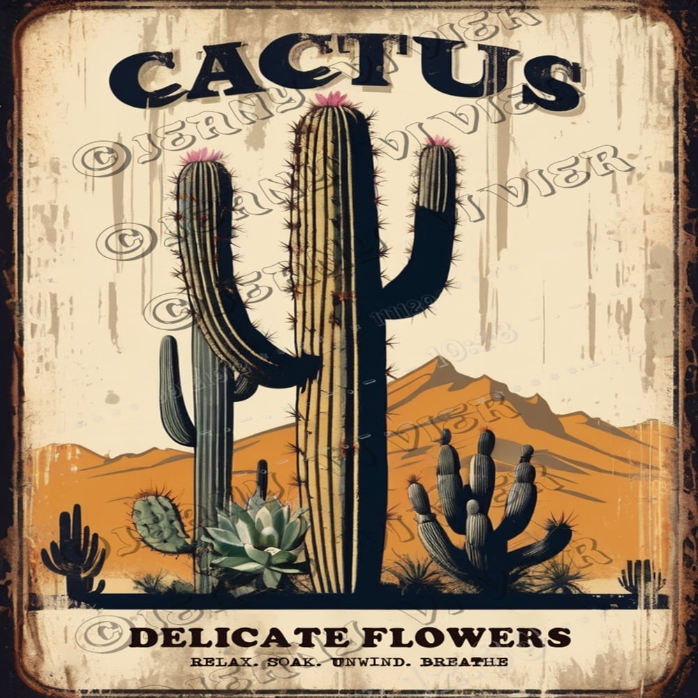 Cactus Delicate Flowers Relax Soak Unwind Breathe Aluminum Sign 12"x12 ...