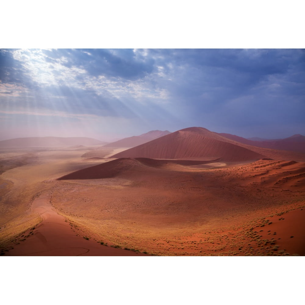 Cactus Desert Dead Wood Natural Landscape Backdrop Shrub Hillside Blue ...