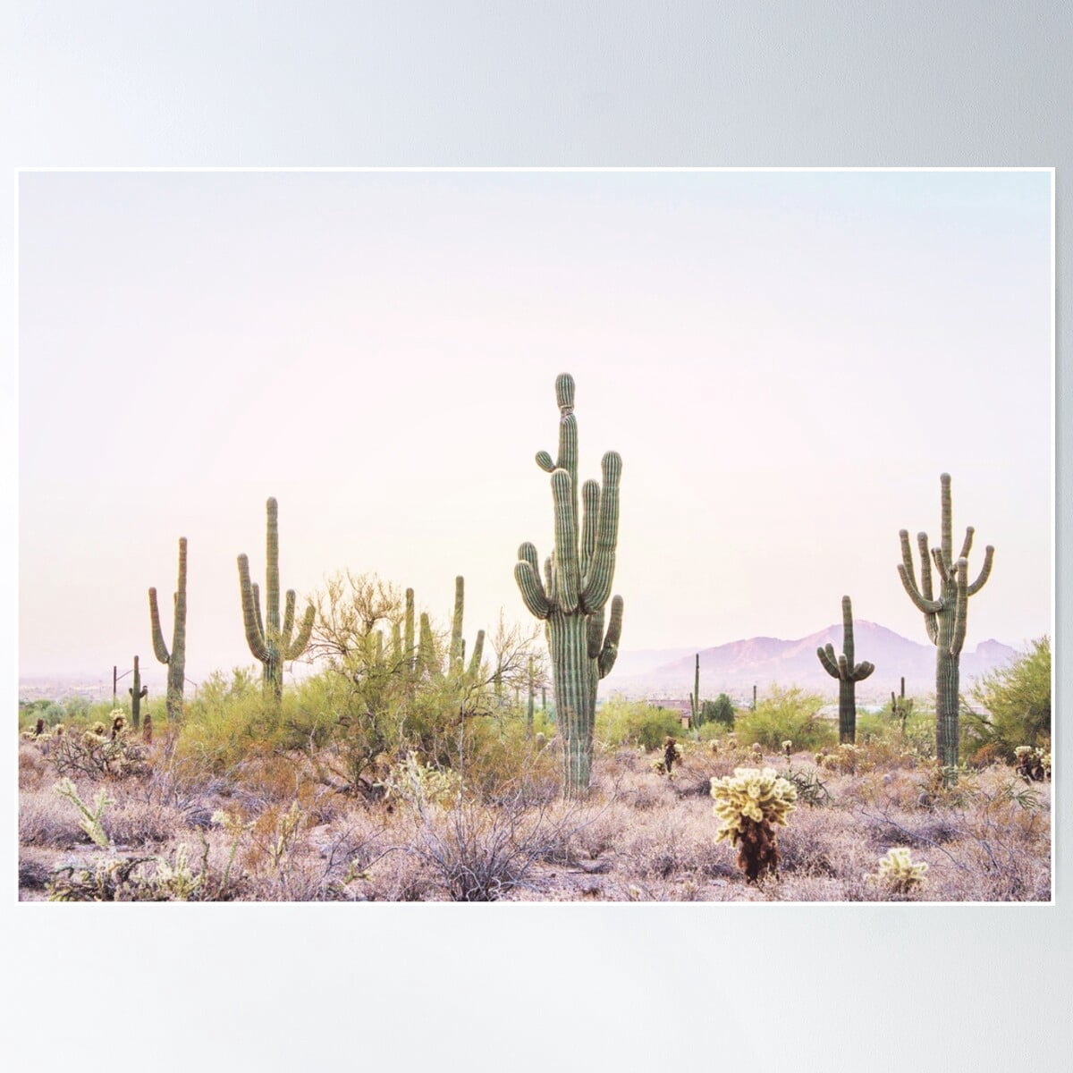 Cactus / Desert Landscape Poster Wall Art, Modern Wall Decor For Living ...