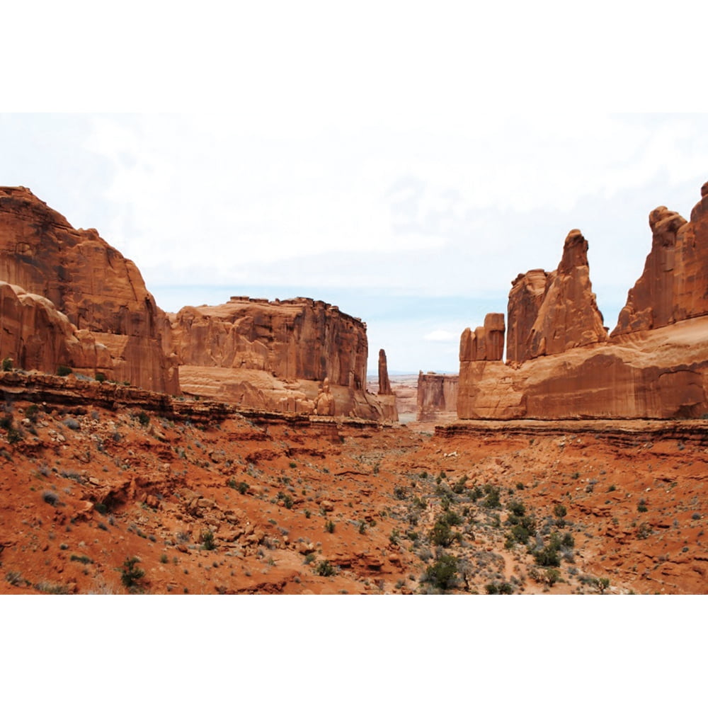 Cactus Desert Scene Backdrops for Photography Dusk Desert Mountain ...