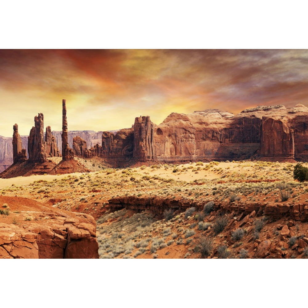 Cactus Desert Sunset Scenery Background for Photography Saguaro Shrub ...
