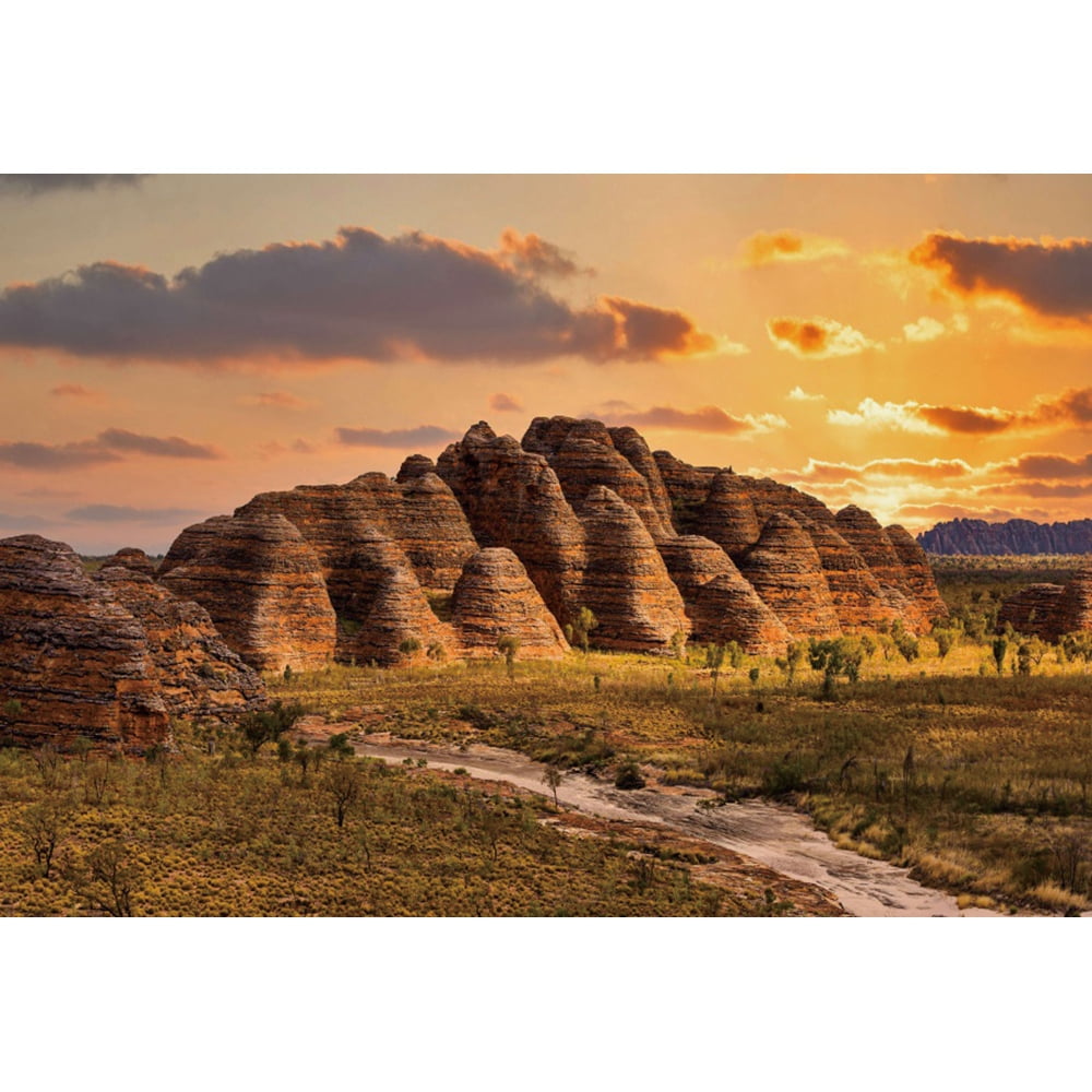 Cactus Desert Sunset Scenery Background for Photography Saguaro Shrub ...
