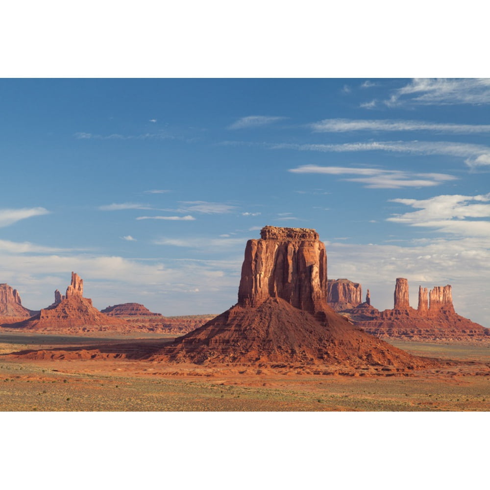 Cactus Desert Sunset Scenery Background for Photography Saguaro Shrub ...