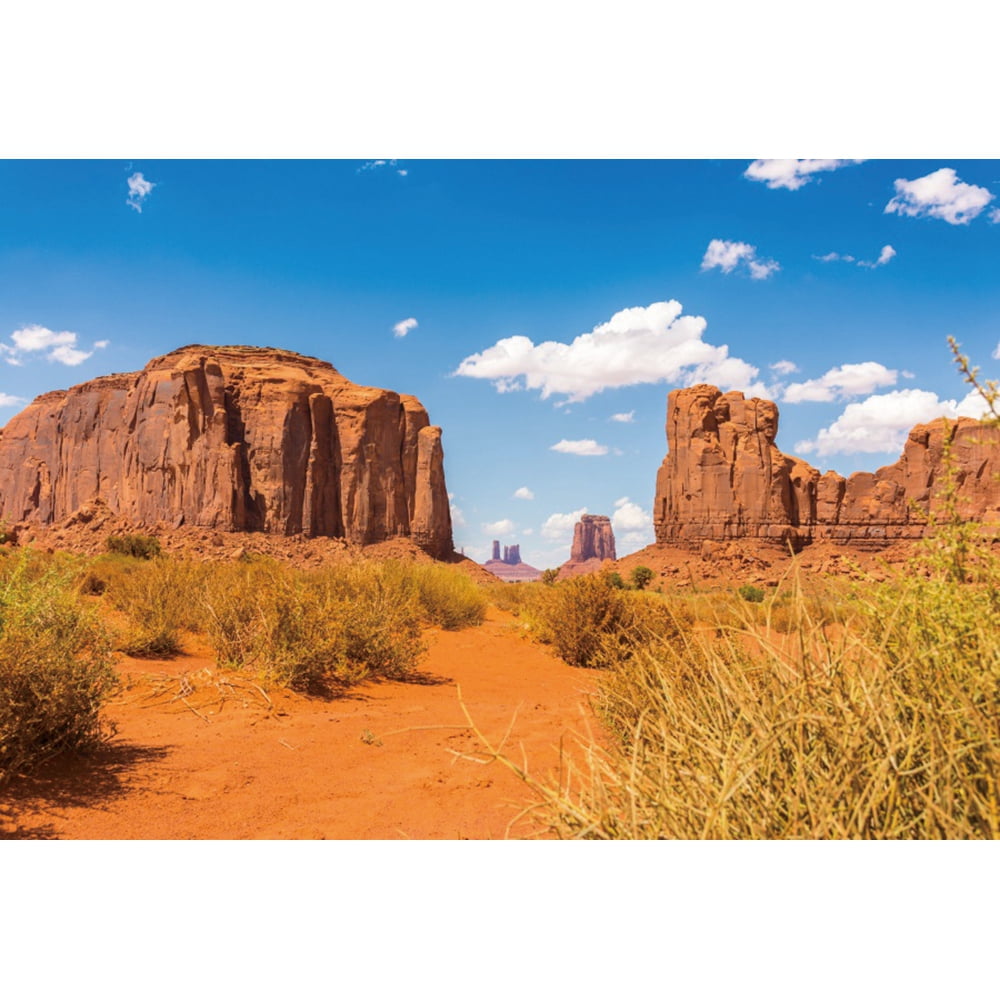 Cactus Desert Sunset Scenery Background for Photography Saguaro Shrub ...