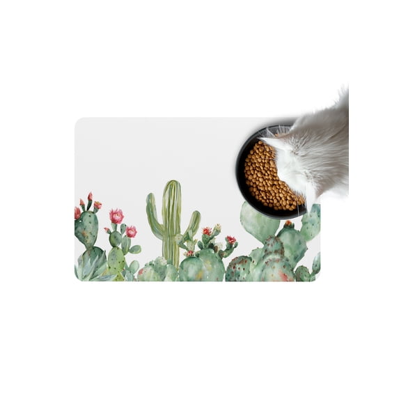 Cactus Doormat Non Slip Diatomaceous Earth Door Mat Absorbent Quick Dry ...