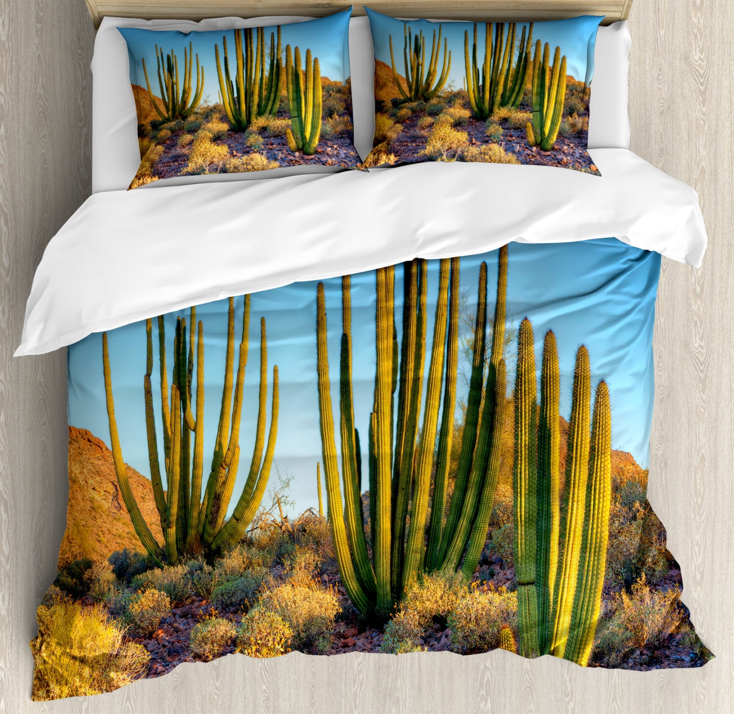 Cactus Duvet Cover Set Queen Size, Photo of Nature Desert Cactus with ...