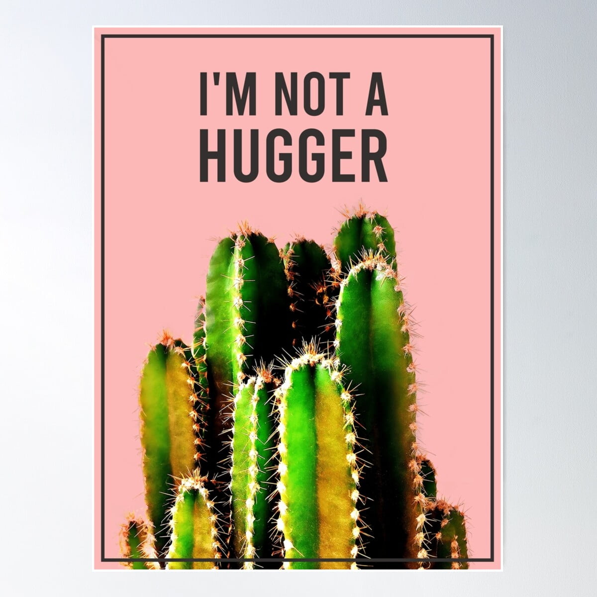 Cactus I'M Not A Hugger Poster Wall Art, Modern Wall Decor For Living ...
