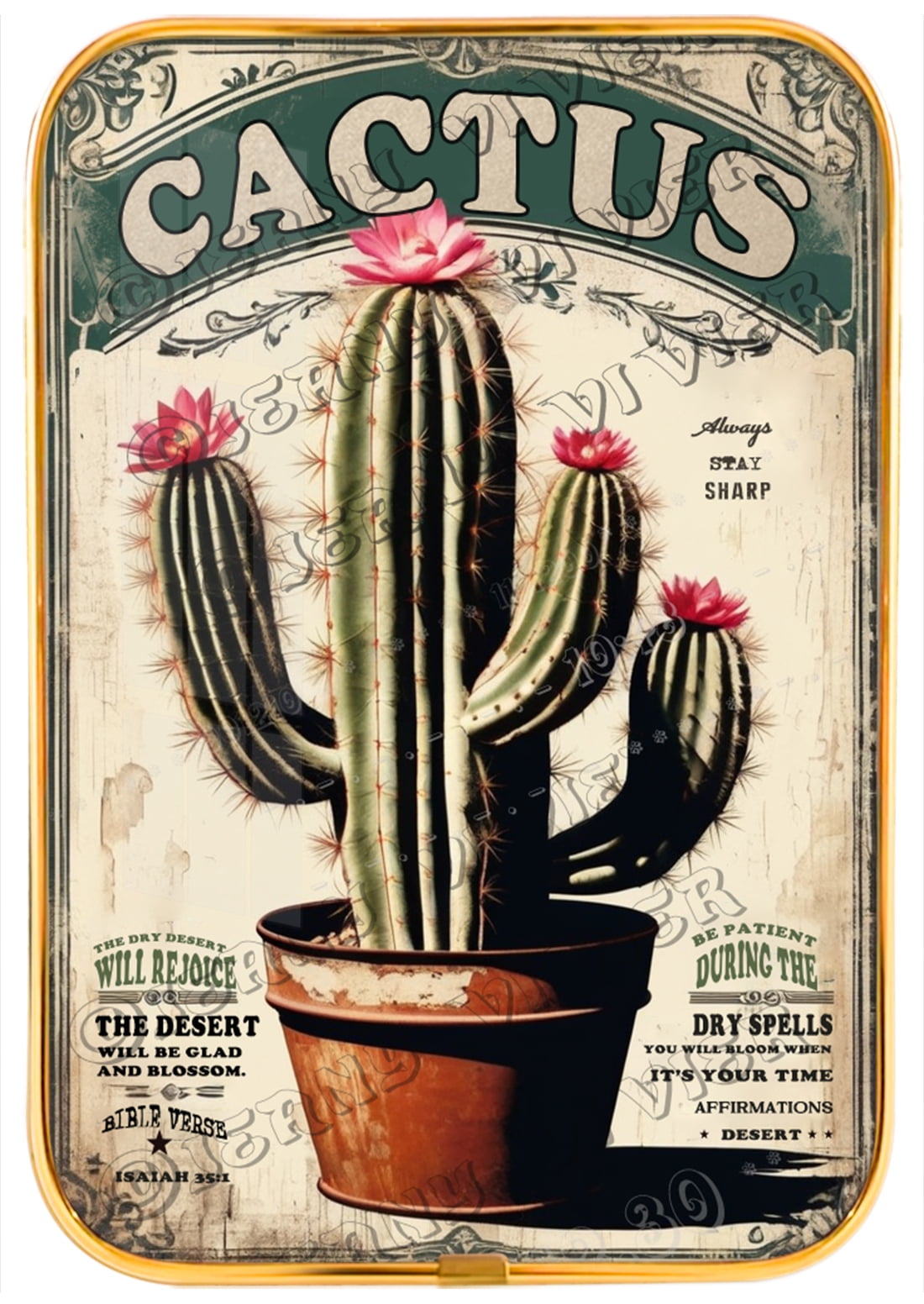 Cactus Isaiah Bible Verse Inspirational Scripture Decor Decor 12"x8 ...