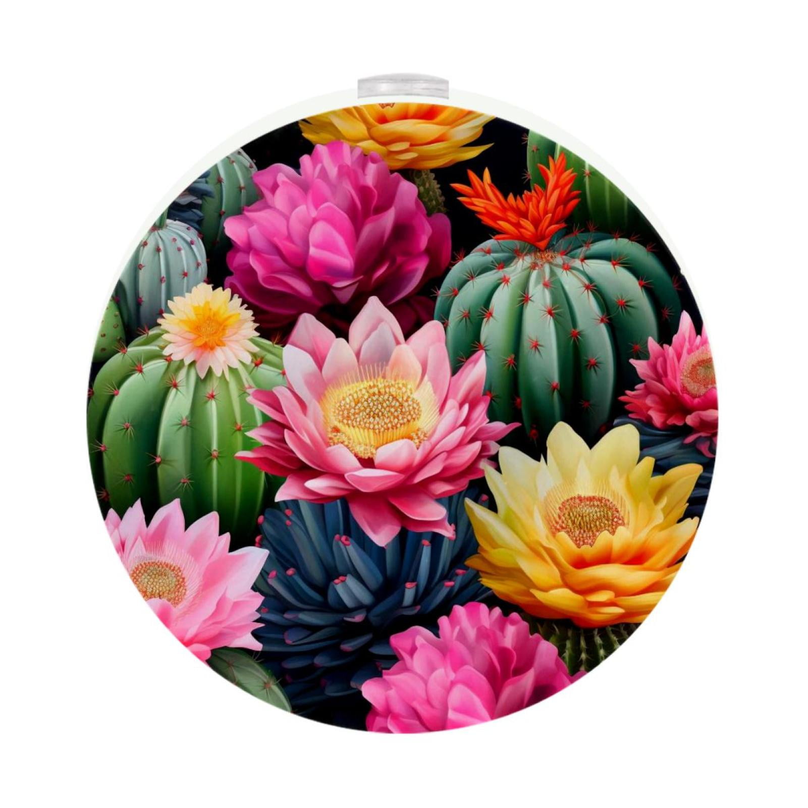 Cactus LED Round Night Light-2PCS: Wireless & Portable Small Lights for ...