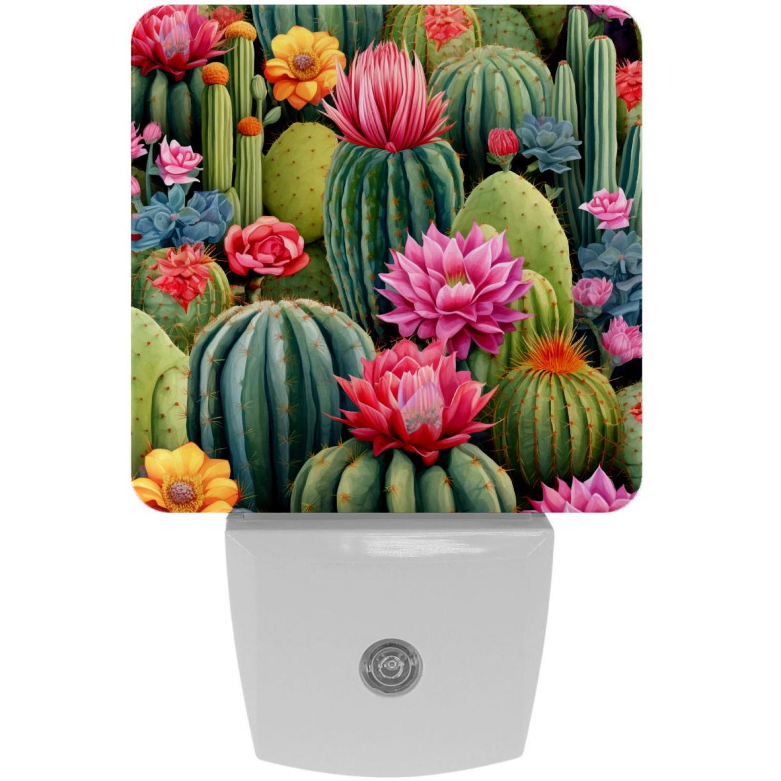 Cactus LED Square Night Lights - Energy Efficient and Contemporary ...