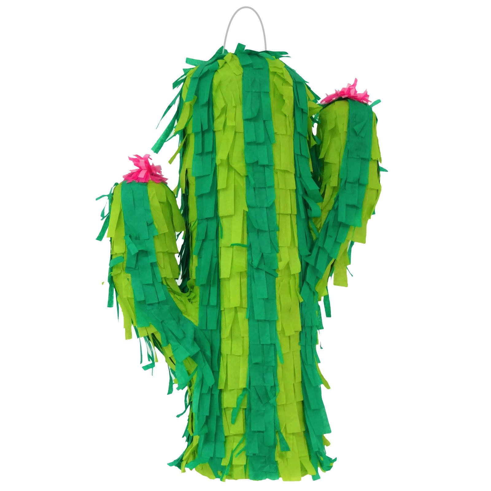 Cactus Pinata, Green, 14.5in x 21.25in - Walmart.com