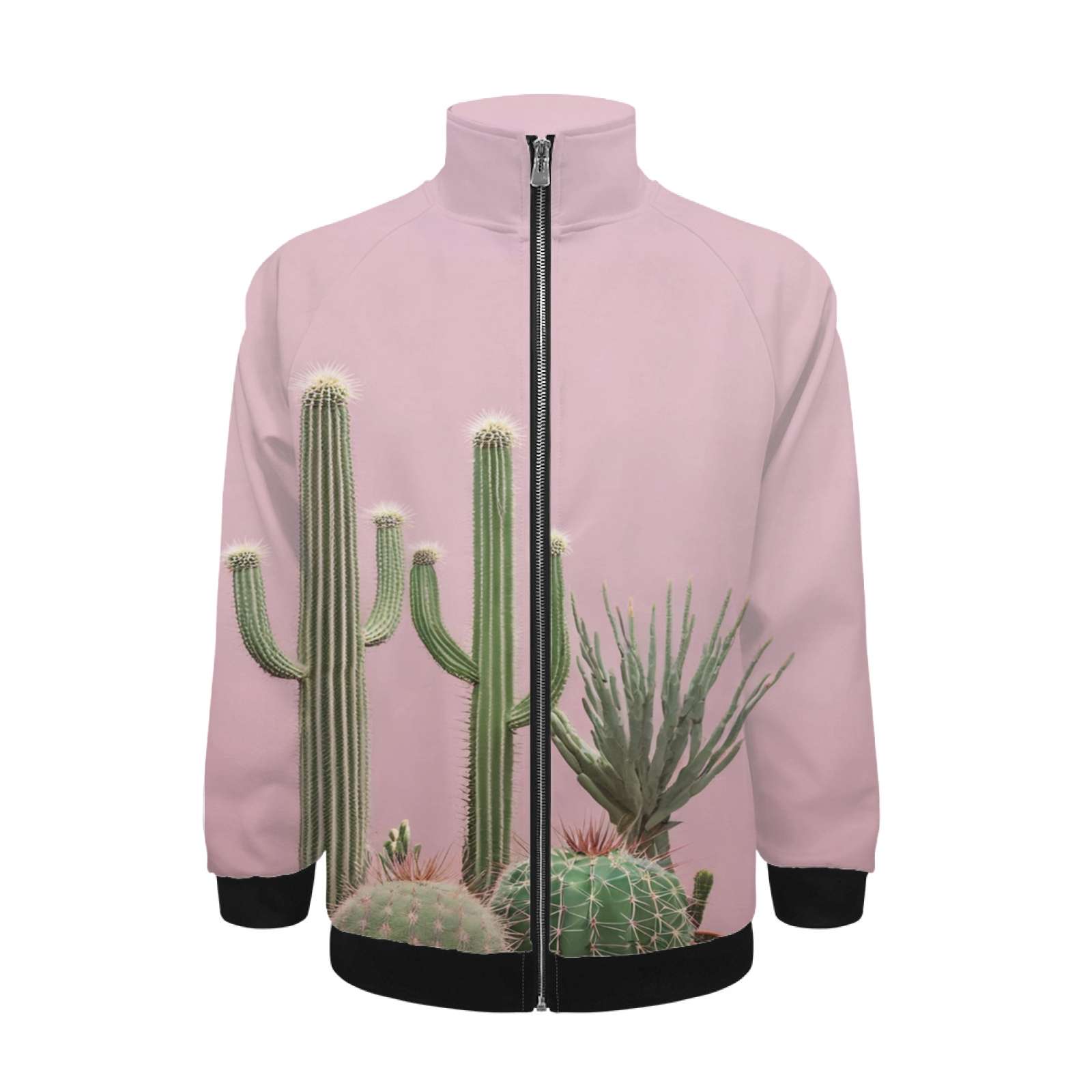 Cactus Plant Minimalist Art Jacket Men's Street Cool Long Sleeves Coat ...