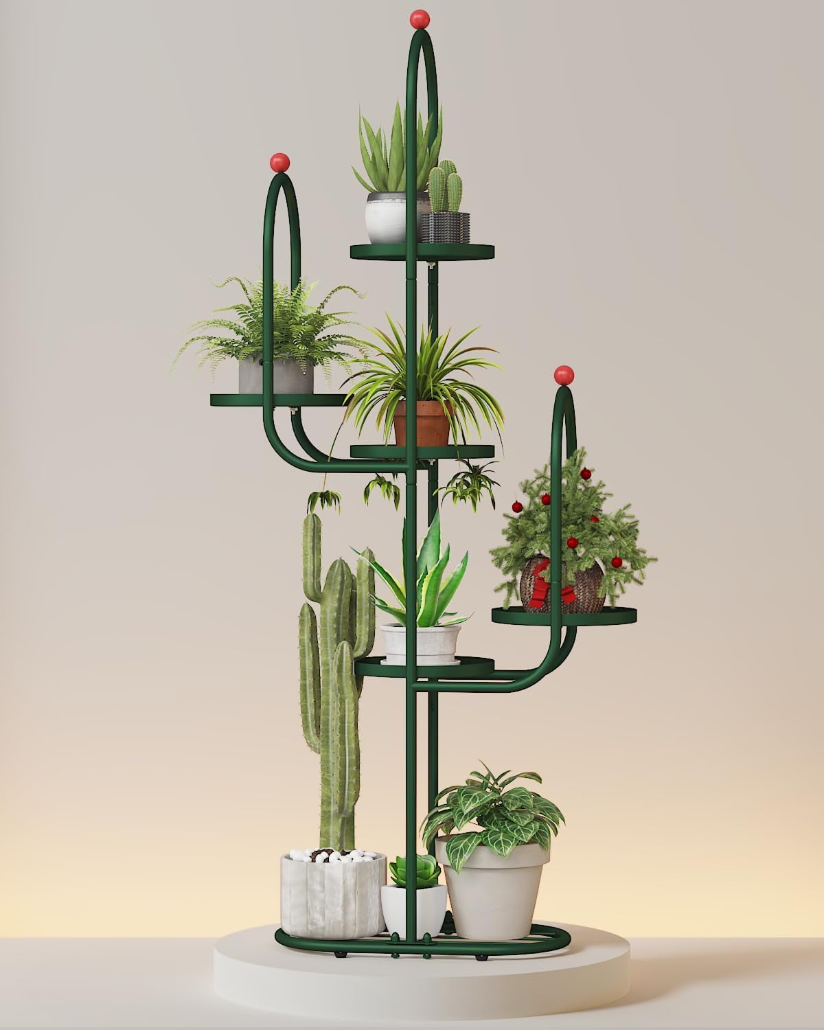 Cactus Plant Stand Indoor for Succulents Cactus Tree Cactus Shelf Tall ...