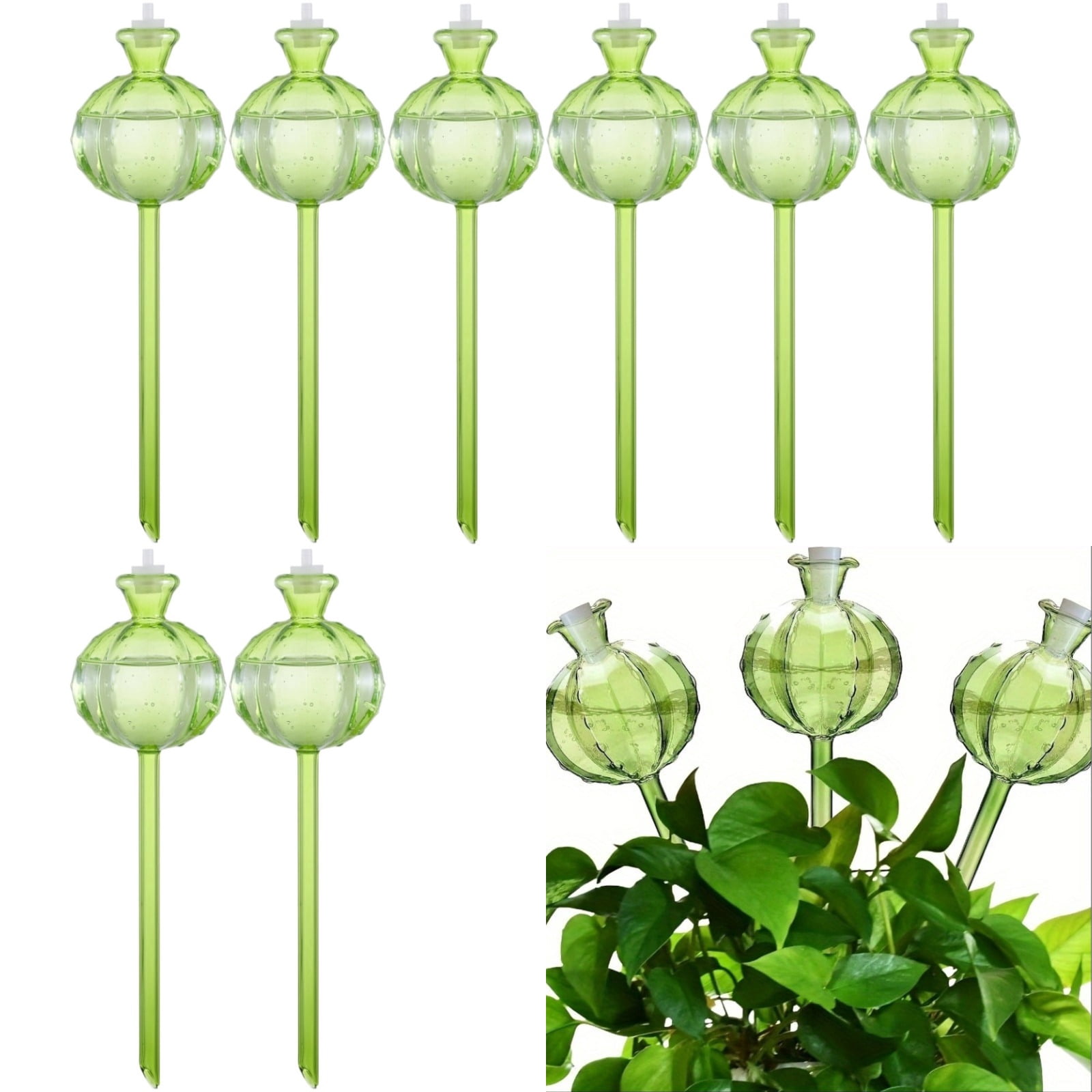 Cactus Plant Watering Balls, Drip Irrigation Kits for Prolonged ...