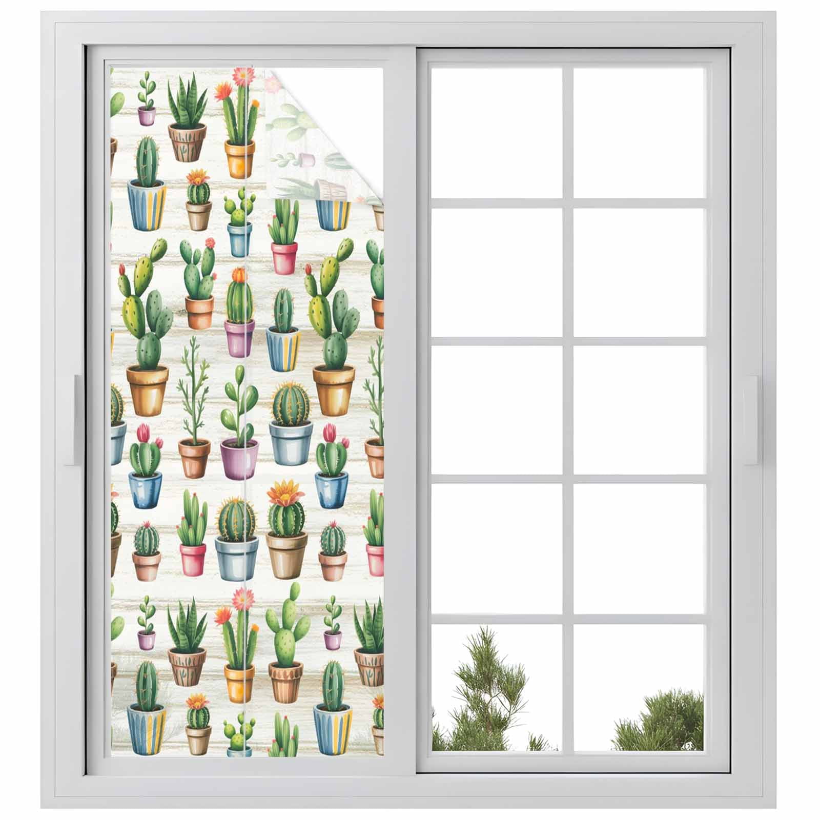 Cactus Plant Window Privacy Film, Green Cactus Botanical Tropical Plant ...