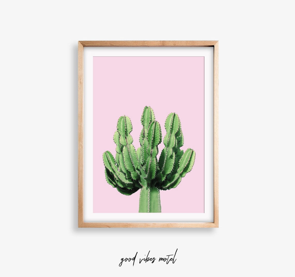 Cactus Poster, Pink Cactus Poster, Southwestern Poster, Desert Decor ...