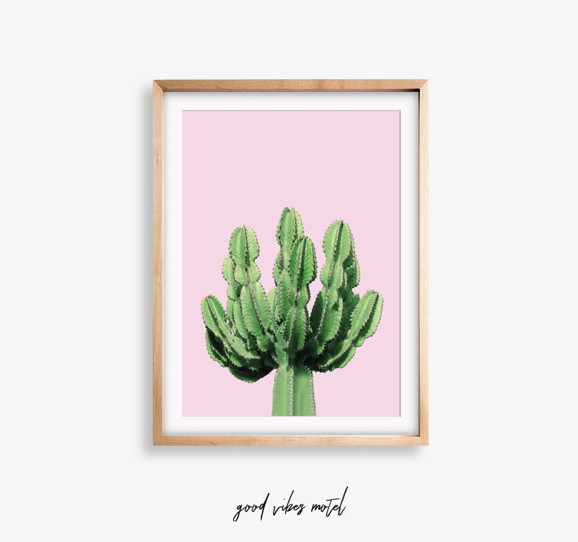 Cactus Poster, Pink Cactus Poster, Southwestern Poster, Desert Decor ...