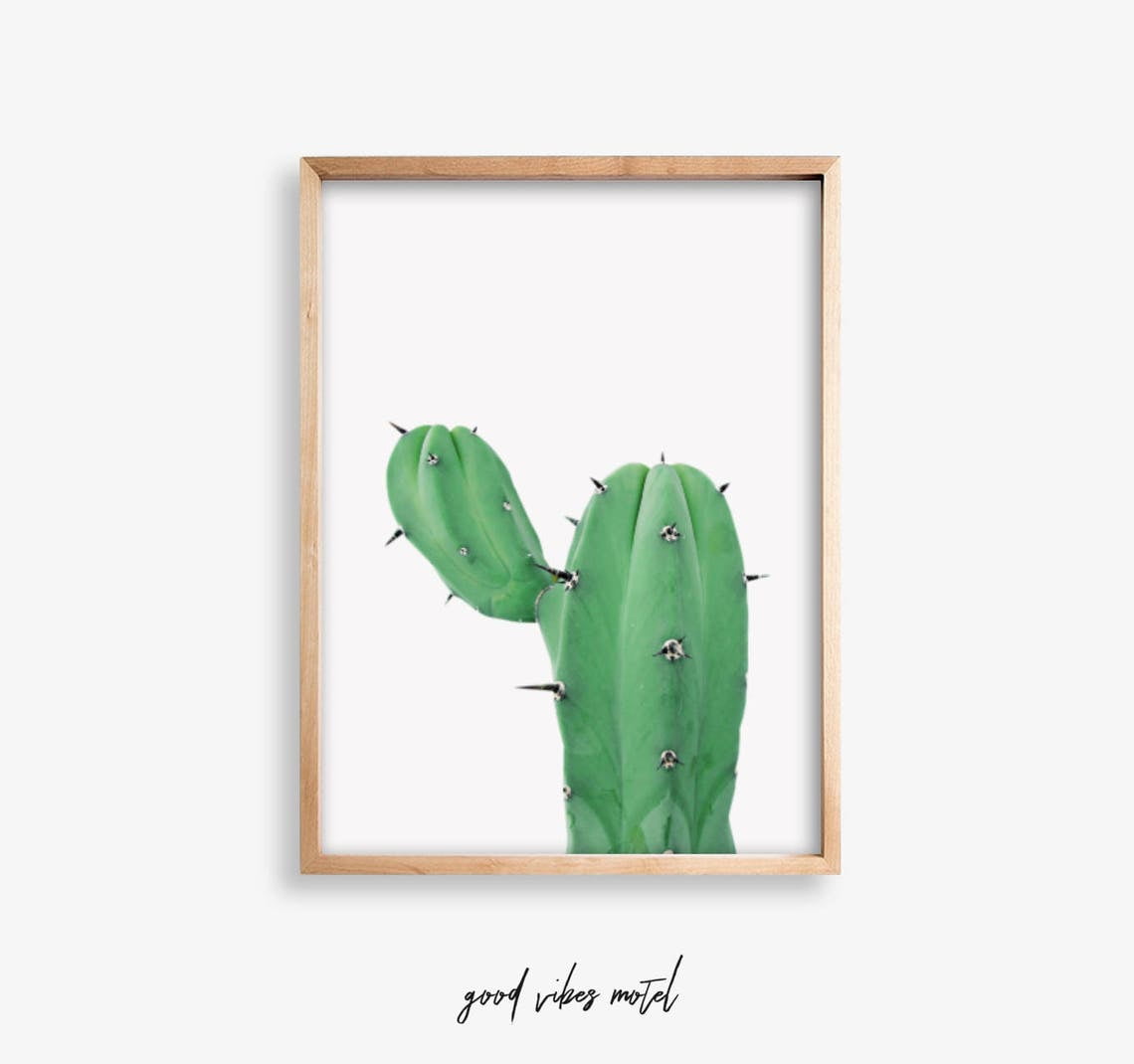 Cactus Posters, Cactus Wall Art, Cactus Poster, Boho Decor, South ...