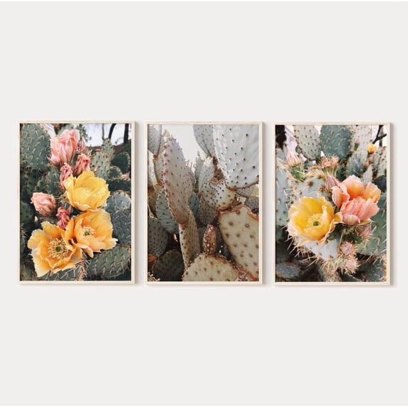 Cactus Prickly Pear Wall Art Cactus Flowers Photography Boho Desert Set ...