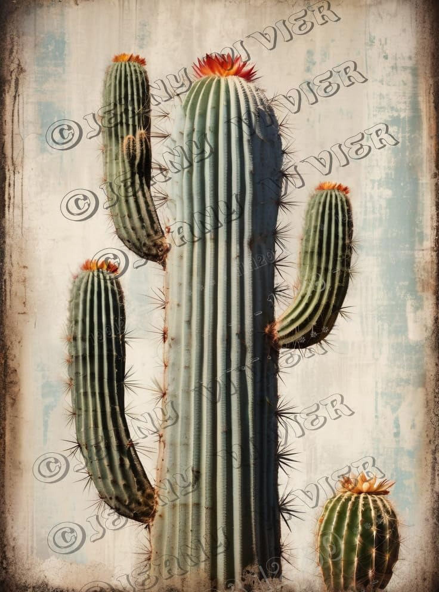 Cactus Retro Aluminum Sign 5.5x8 IN Metal Sign Southwestern Botanical ...