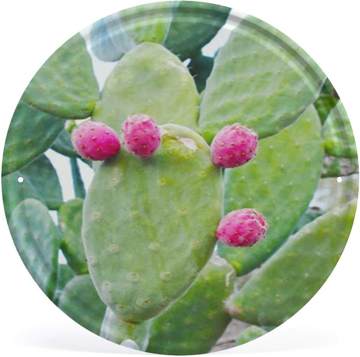 Cactus Round Metal Tin Signs Desert Cactus Artwork Retro Decor Wall Art ...