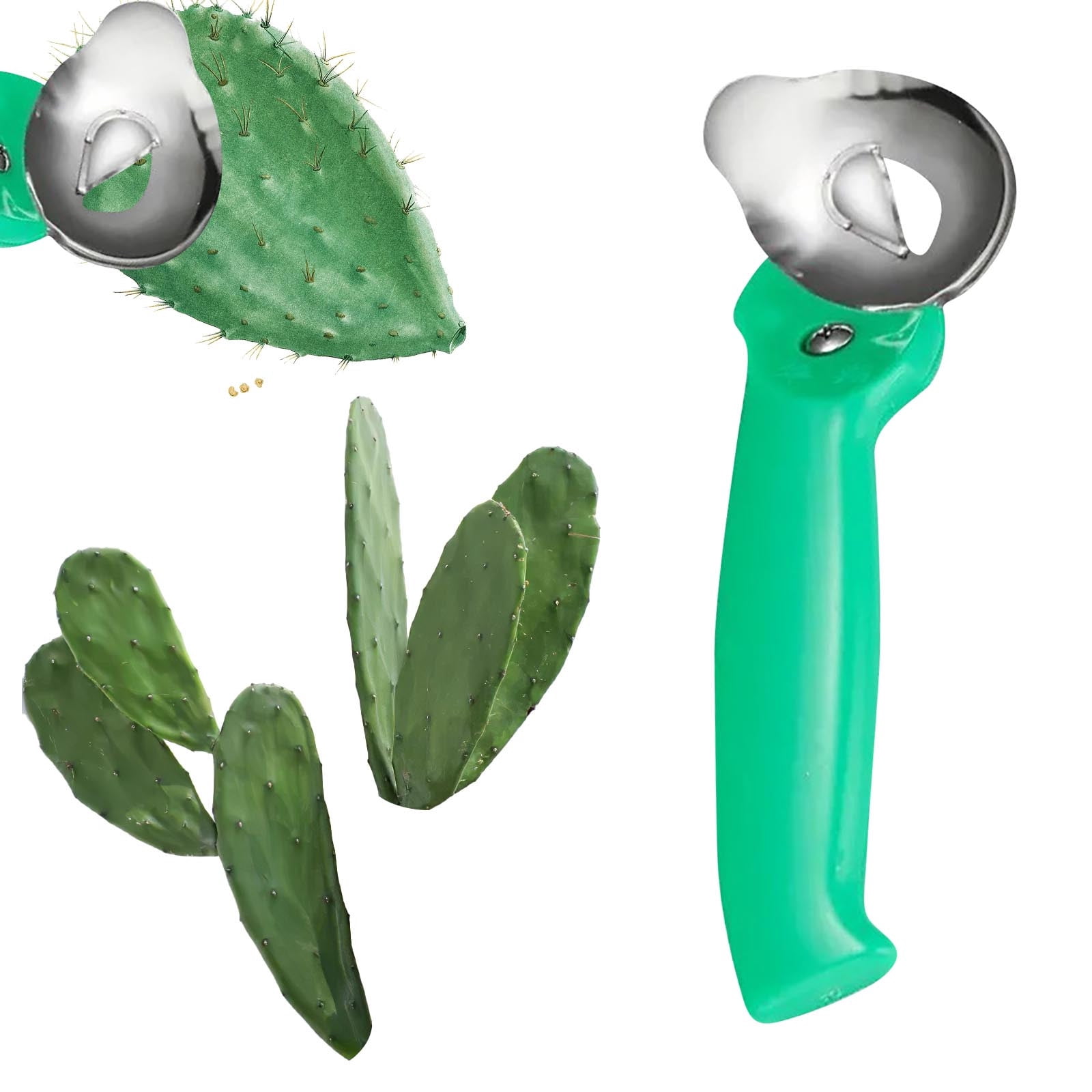 Cactus Shaped Peeler Spoon - Multifunctional Long Handled Kitchen Tool ...