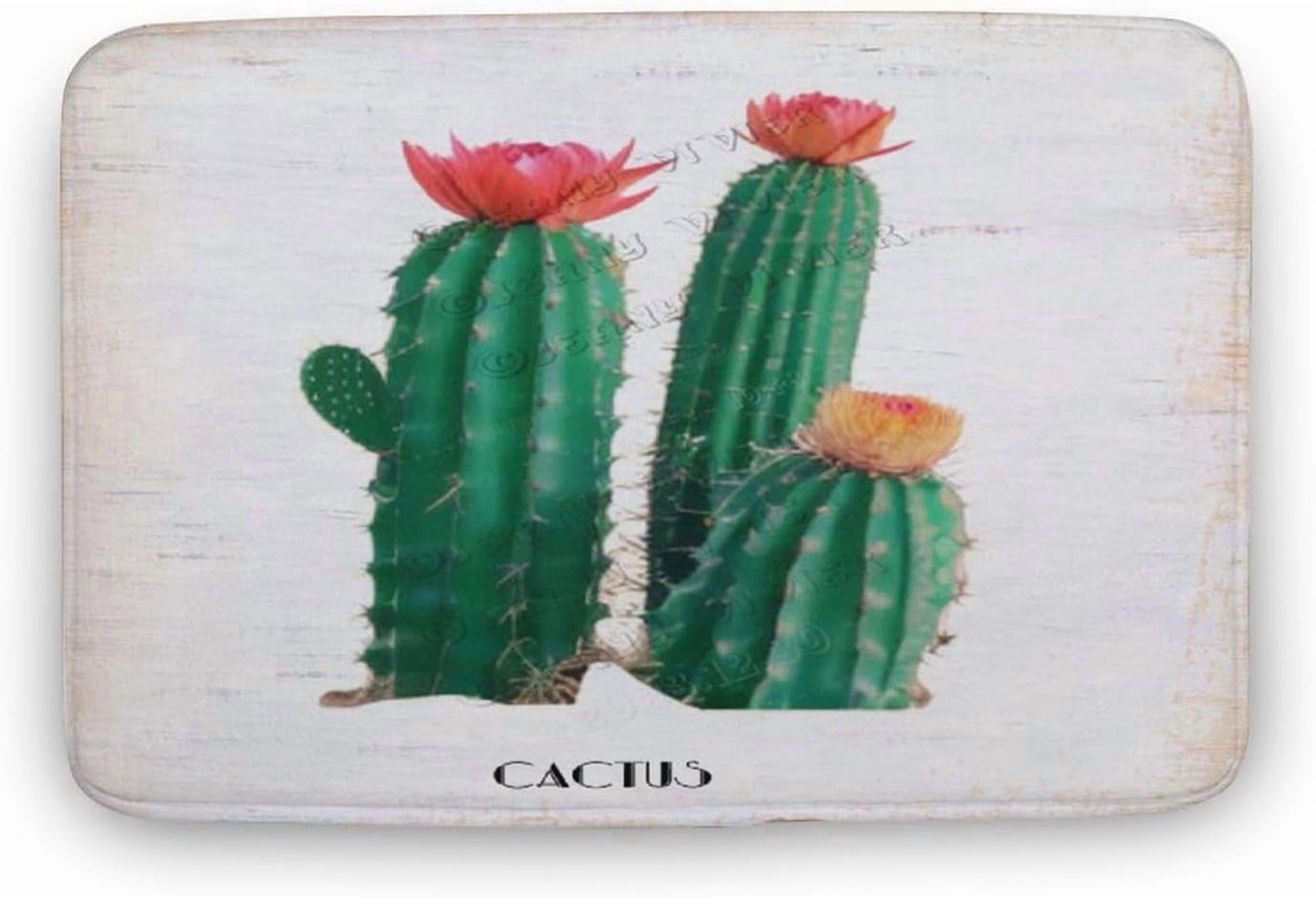 Cactus Southwest Cacti Printed Coral Velvet Bath Rug Funny Bathroom Rug ...