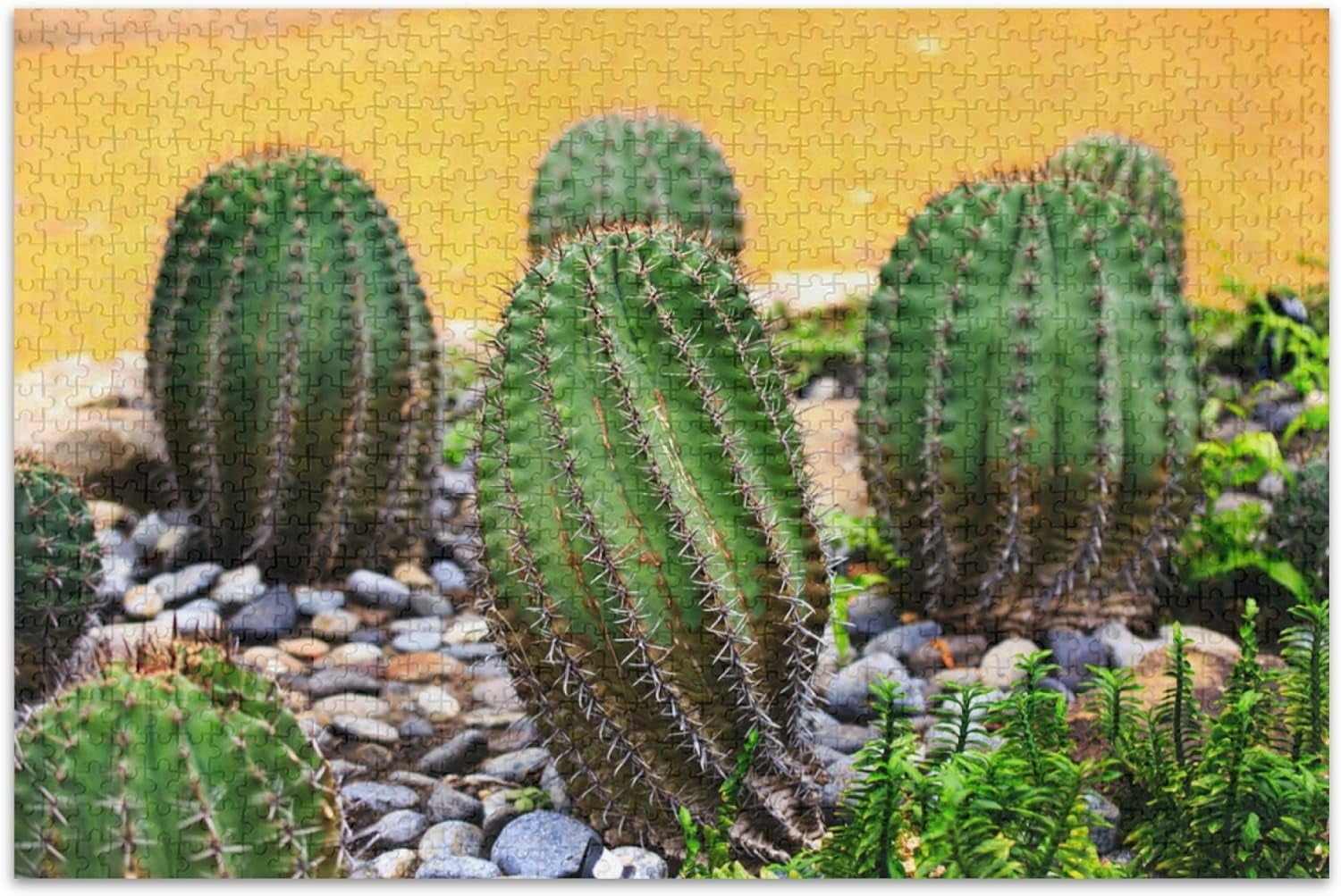 Cactus and Stone Jigsaw Puzzle 500 Pieces Wooden Jigsaw Puzzles, Puzzle ...