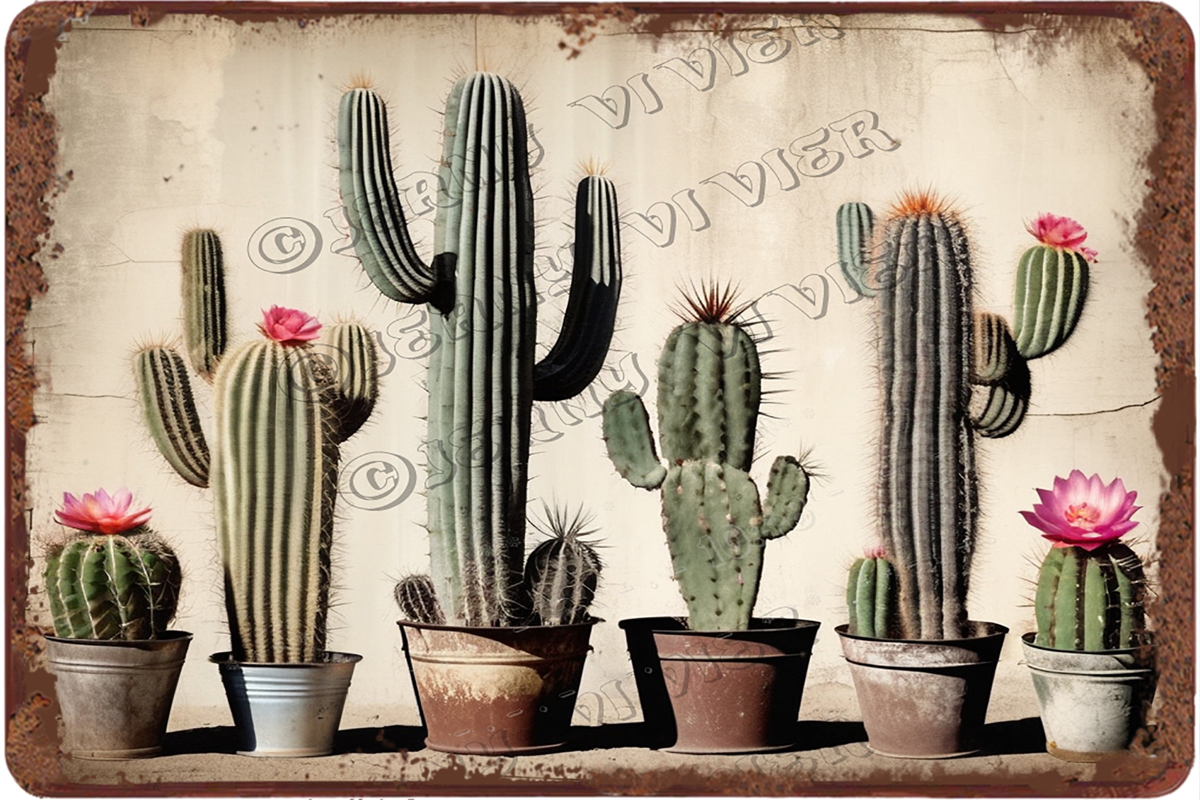Cactus Vintage Aluminum Sign Cacti Retro Metal Sign Cactus Wall Art ...