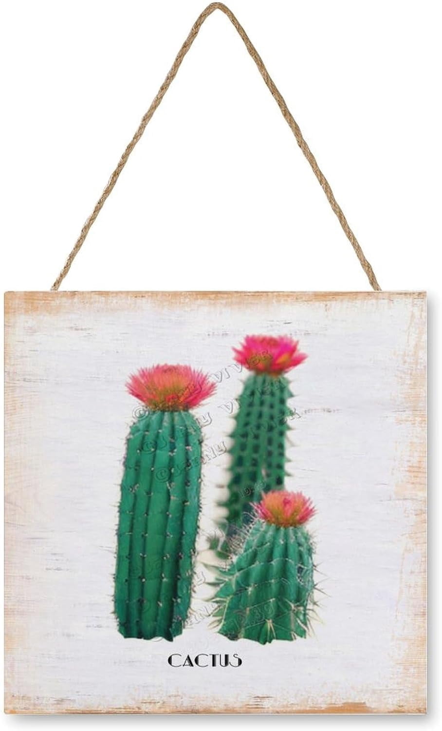 Cactus Wooden Hanging Sign Southwest Plant Cacti Decor Rustic Farmhouse ...