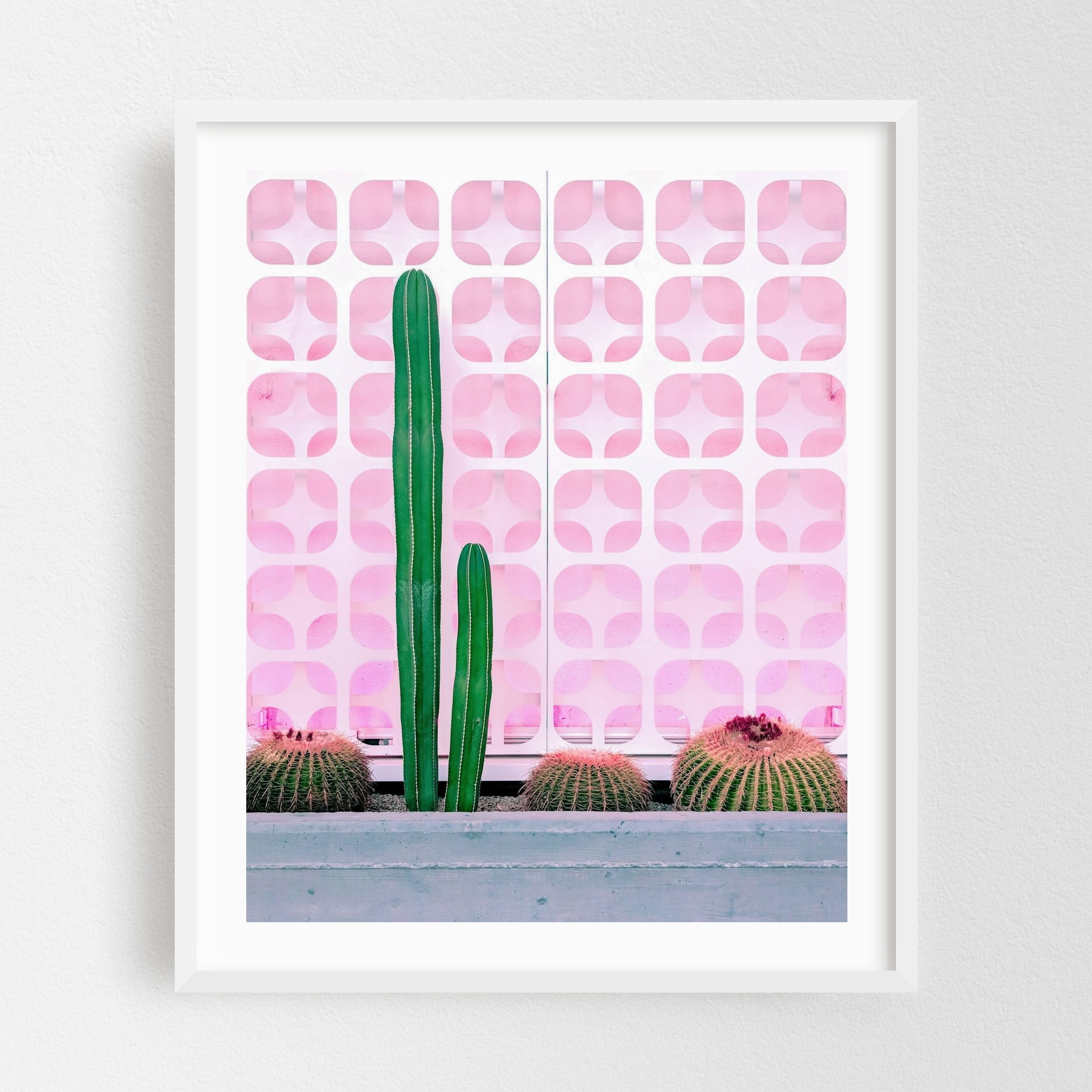 Cactus in front of a Pink Mid-Century Modern Wall - Palm Springs ...