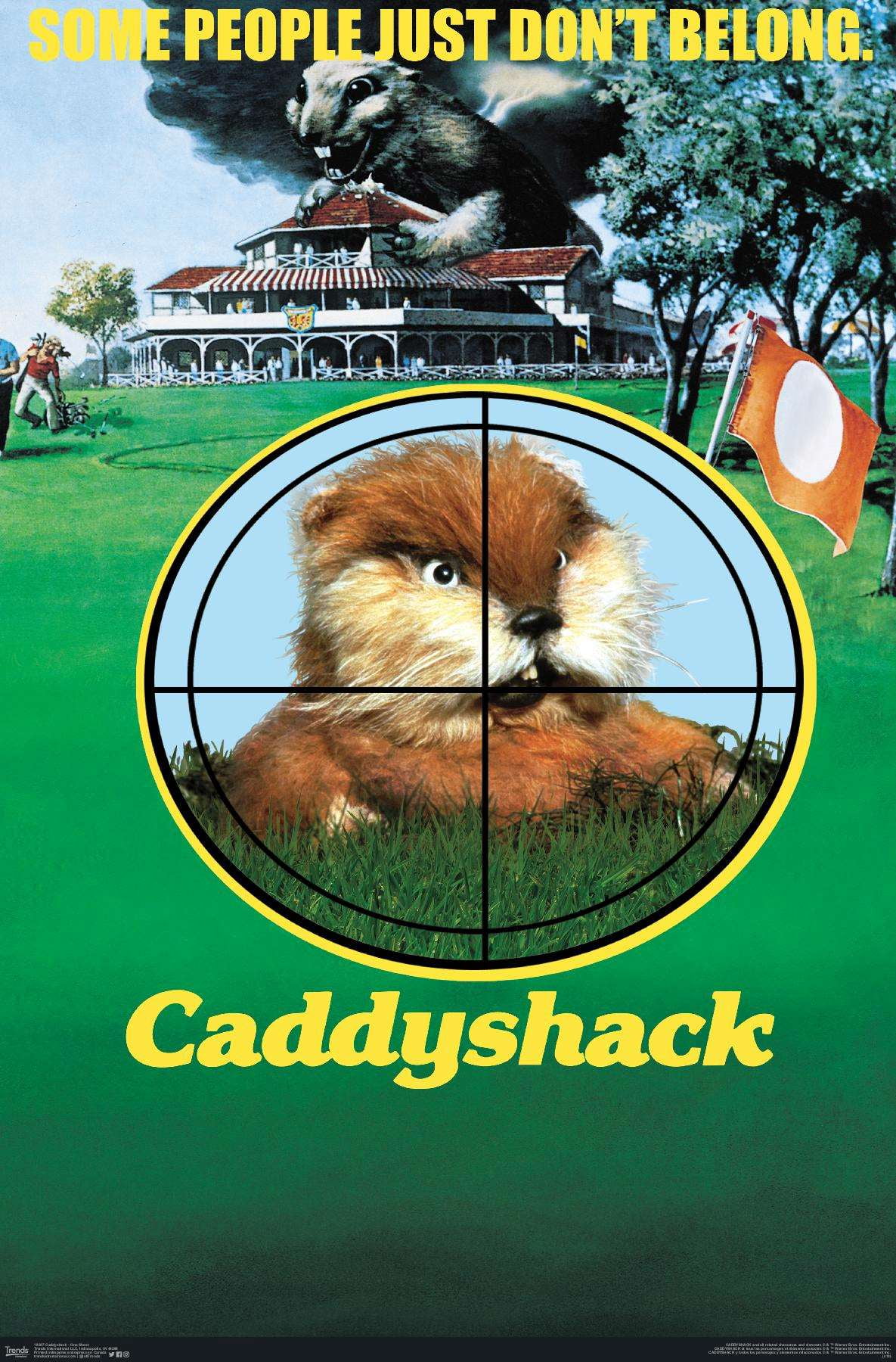 Caddyshack - One Sheet Wall Poster, 22.375" x 34" - Walmart.com