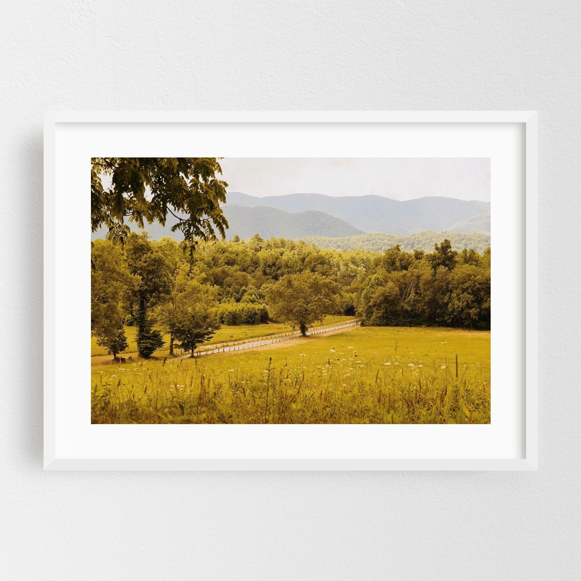 Cade's Cove - Tennessee Photography Landscape Nature Scenic Rural ...