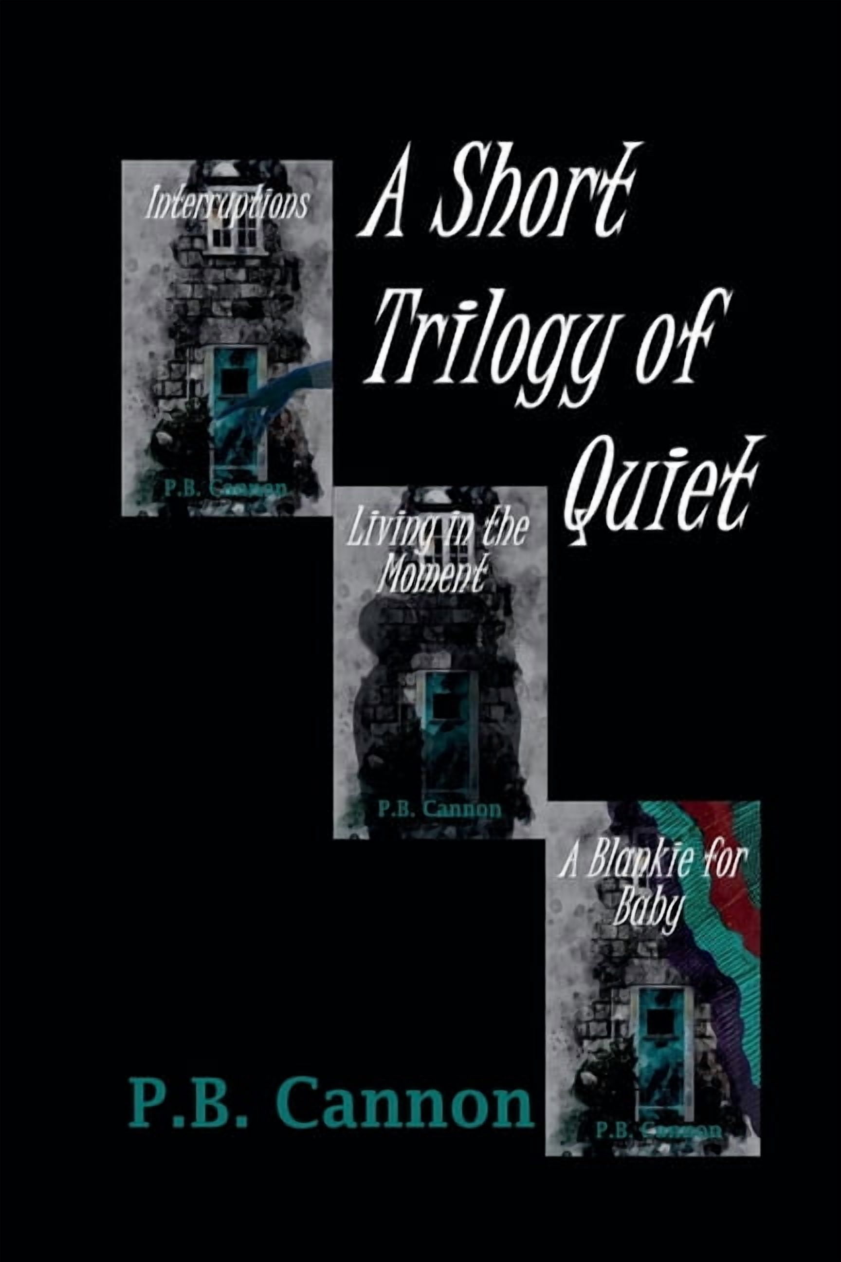 Cady and Sam A Short Trilogy of Quiet, Book 6, (Paperback) - Walmart.com