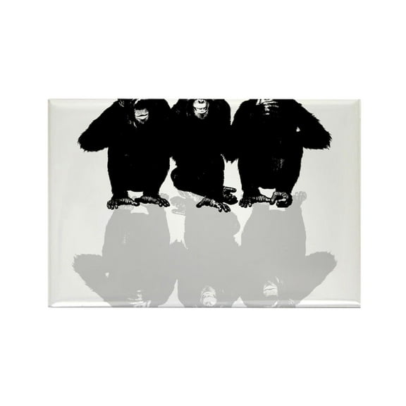 Monkey Magnets