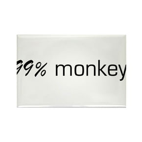 Monkey Magnets
