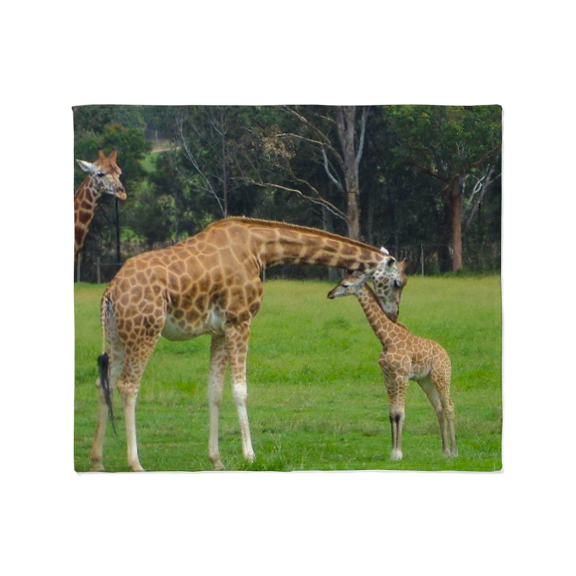 CafePress - Baby Giraffe Throw Blanket - Soft Fleece Throw Blanket, 50 ...