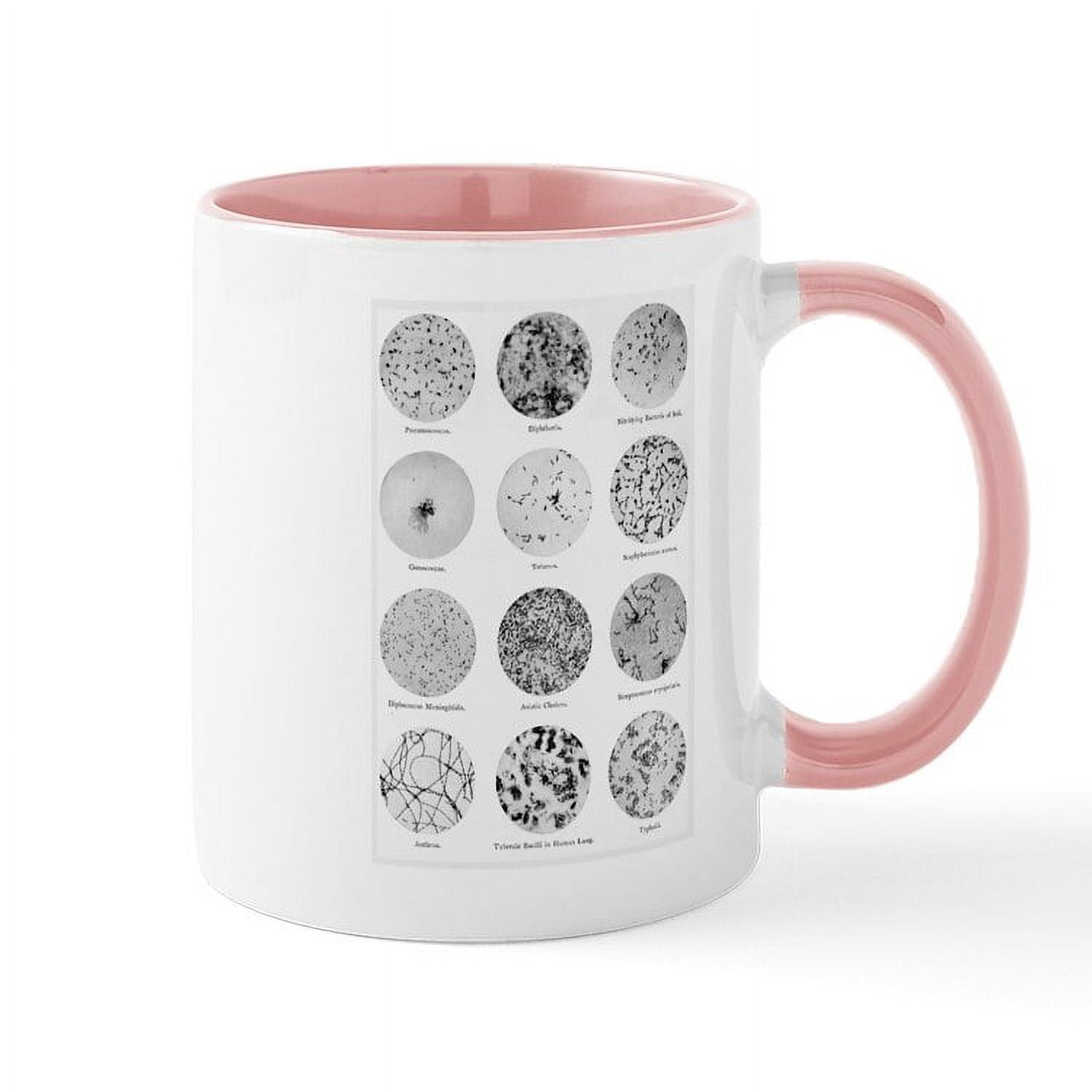 CafePress - Bacterial Identification Chart - 11 oz Ceramic Mug ...