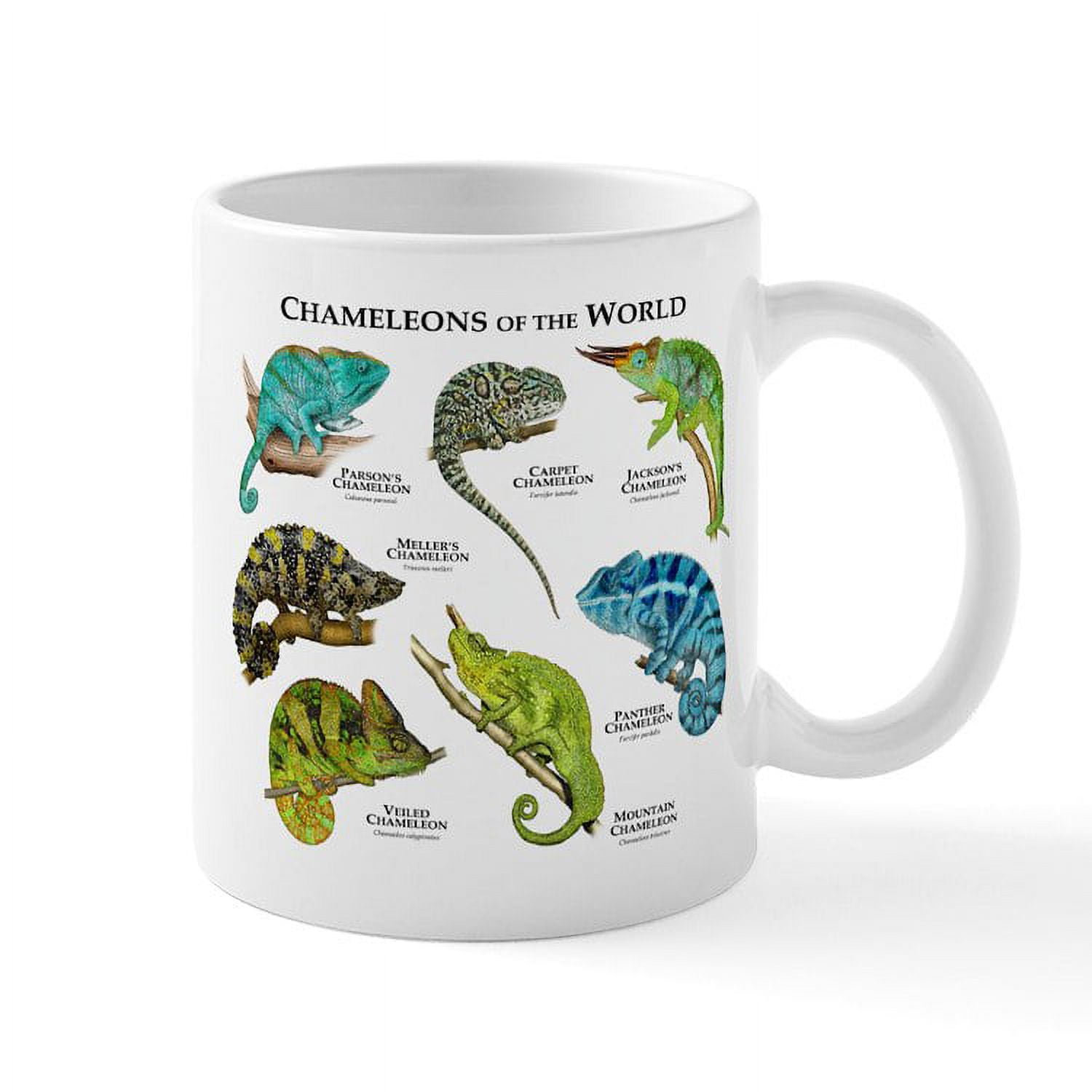 CafePress - Chameleons Of The World Mug - 11 oz Ceramic Mug - Novelty ...