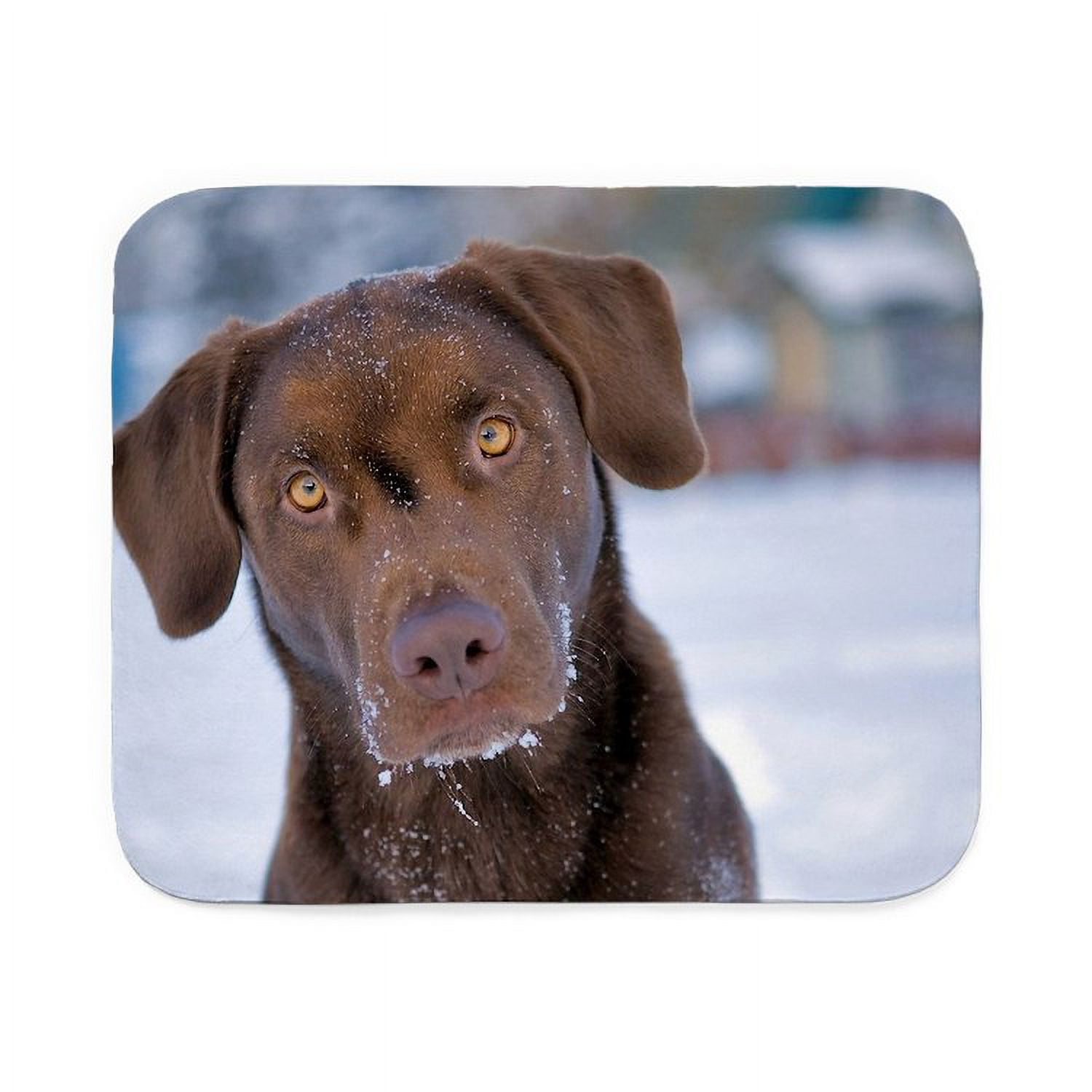 CafePress - Chocolate Labrador Ret - Sherpa Fleece Throw Blanket 60" x ...