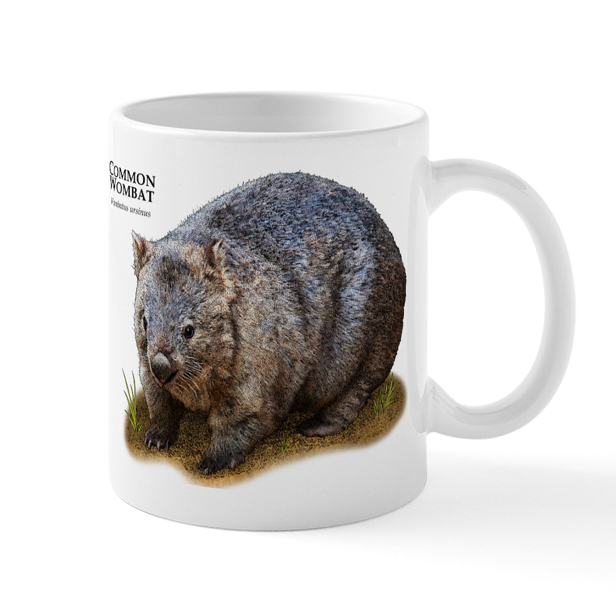 CafePress - Common Wombat Mug - 11 oz Ceramic Mug - Novelty Coffee Tea ...