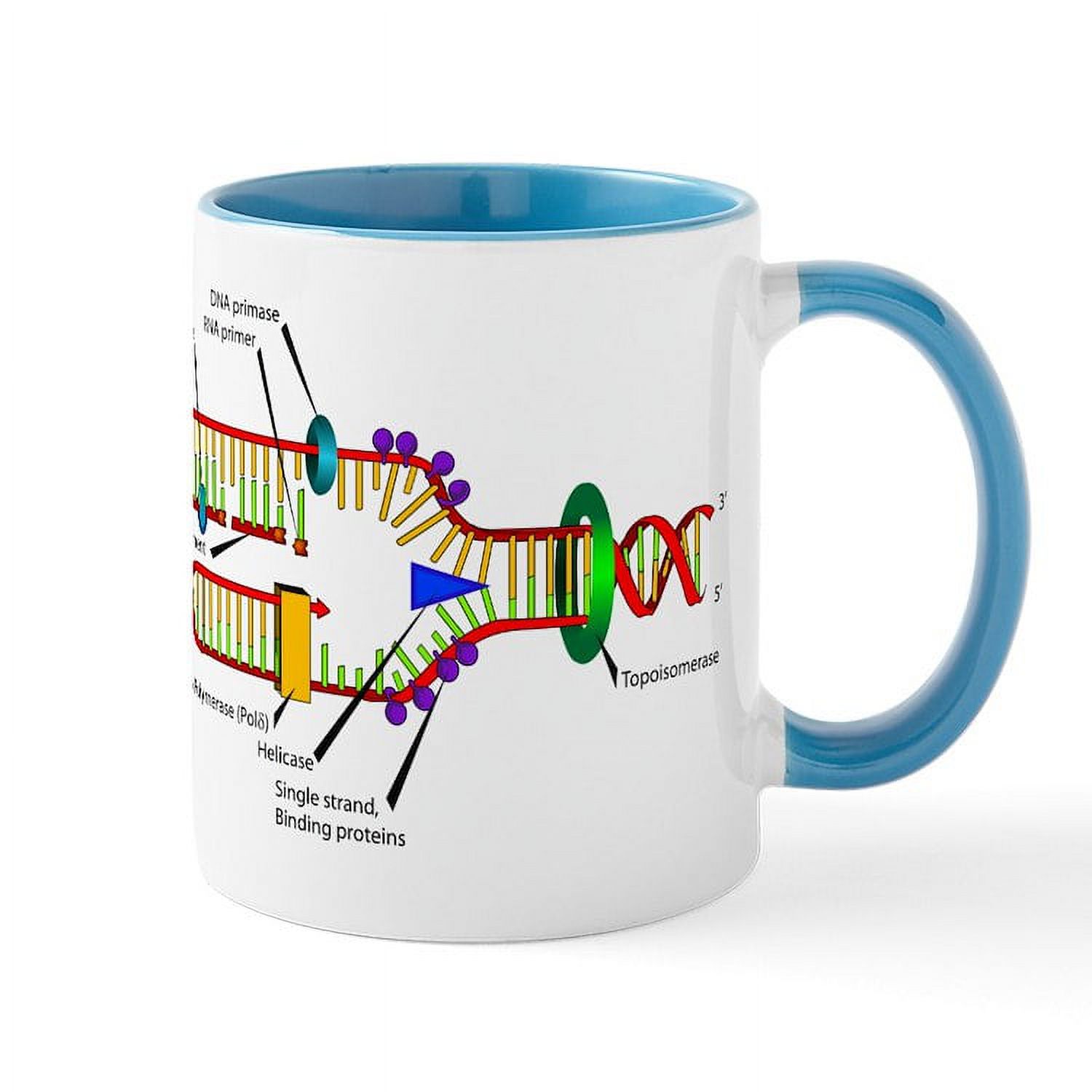 CafePress - DNA Nucleosome, Molecular Model Mug - 11 oz Ceramic Mug - Novelty Coffee Tea Cup ...