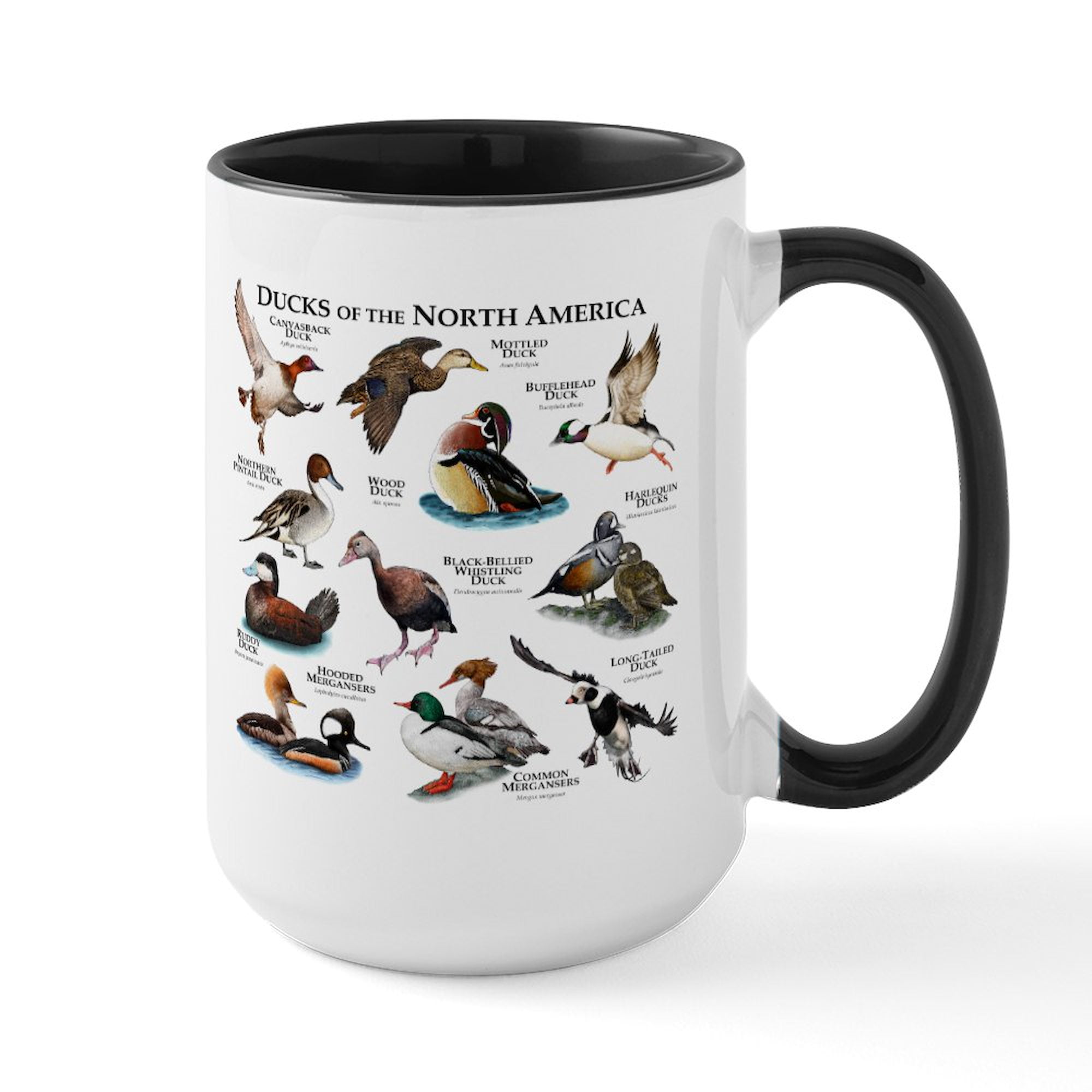 CafePress - Ducks Of North America Large Mug - 15 oz Ceramic Large ...